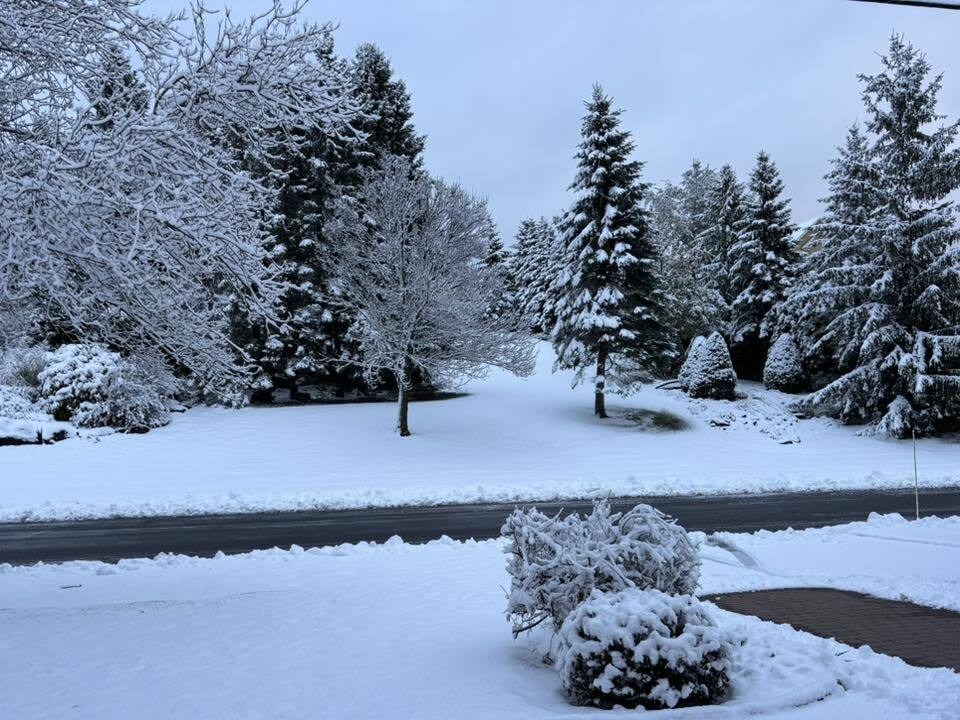 Première neige : découvrez vos magnifiques photos remplies de flocons ...