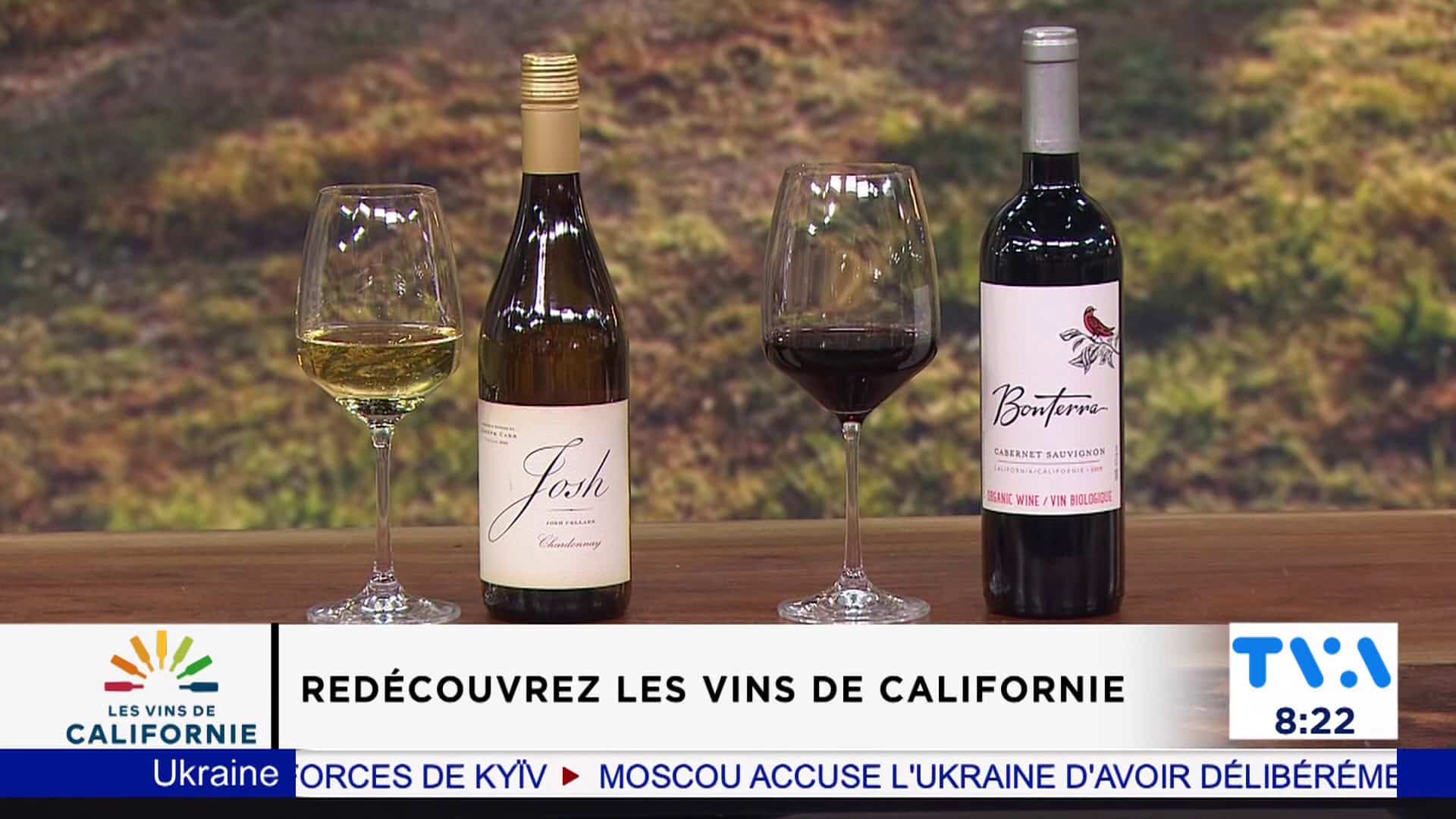 Goûtez aux vins de Californie | Salut Bonjour