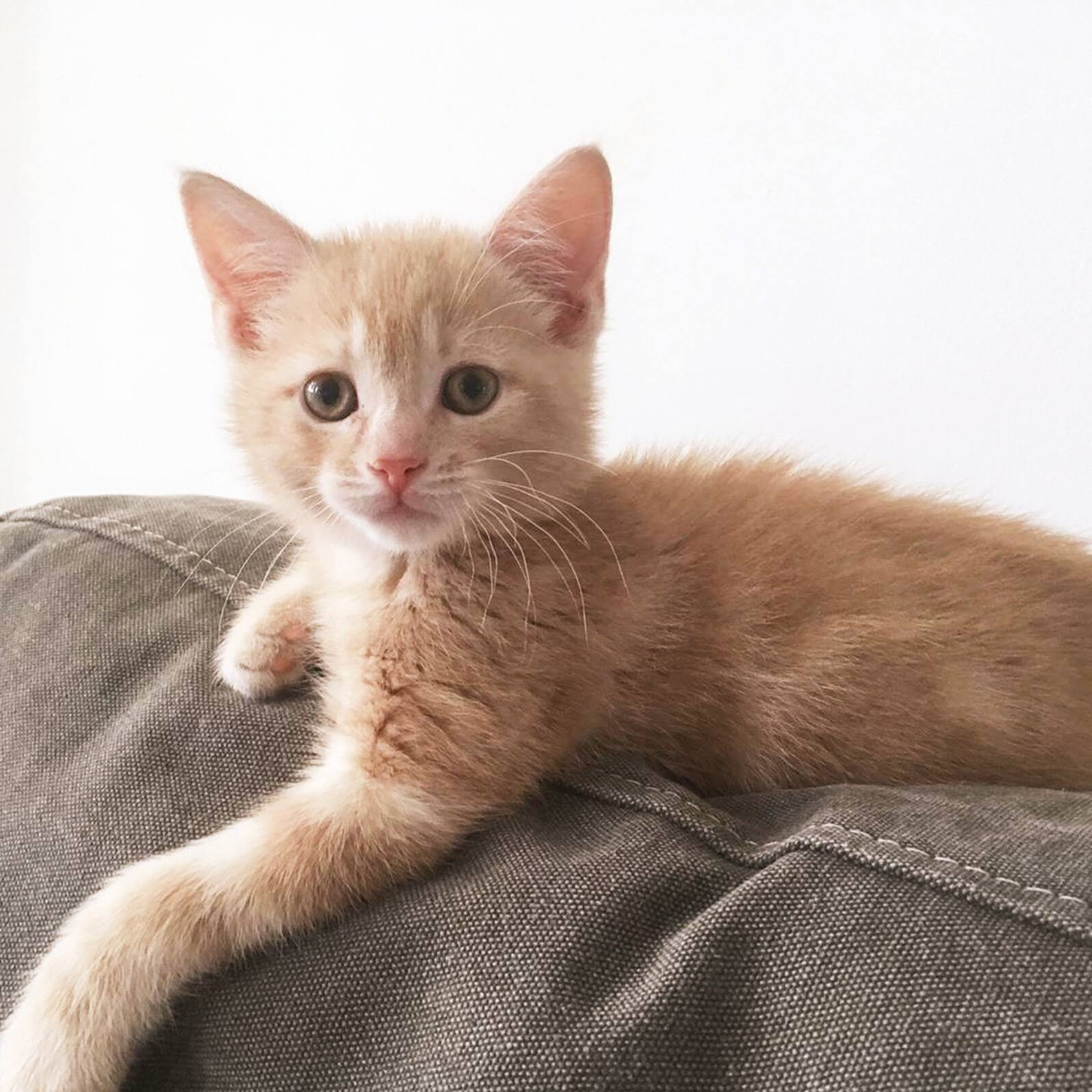 Isabel Richer se confie sur sa relation avec son fils Henri | 7 Jours