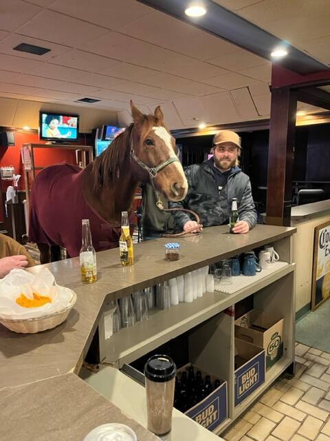 [EN IMAGES] Un cheval s'installe au comptoir d'un bar à Lyster | JDM