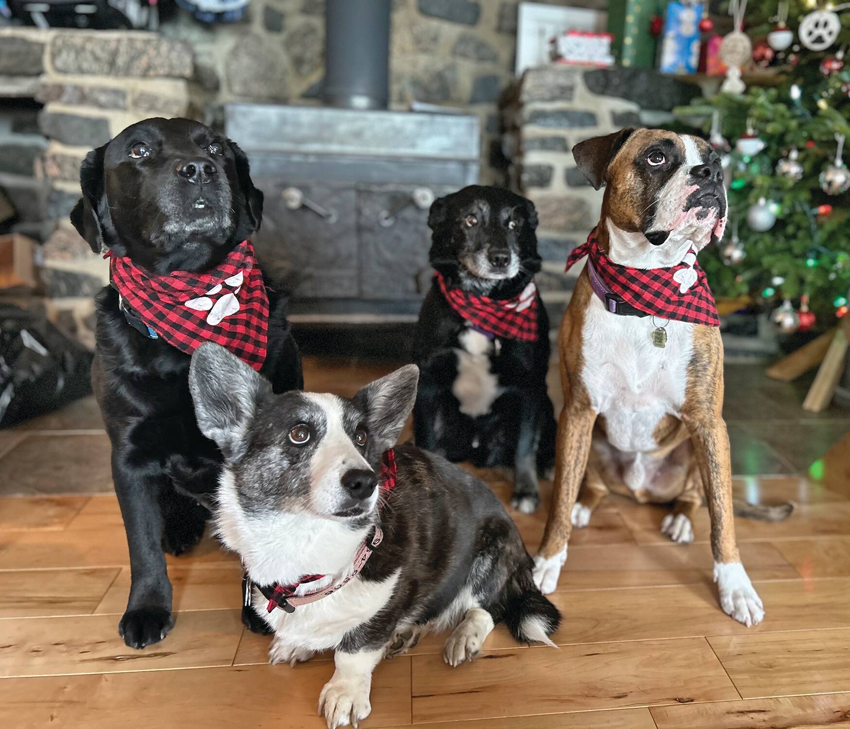 Émilie Lajoie, qui incarne la fameuse Jessica Renaud dans Indéfendable ...