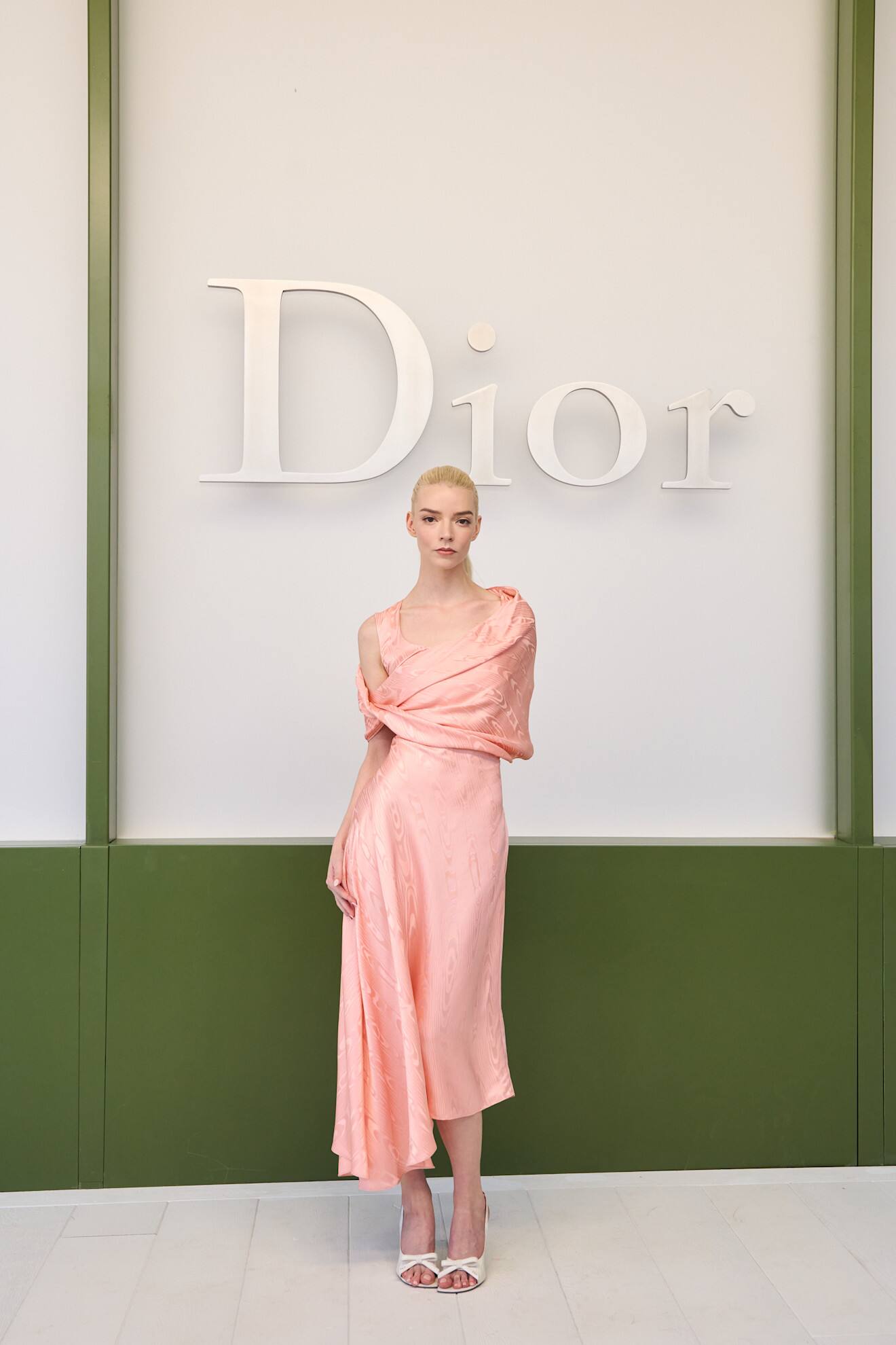 Charlize Theron ose les porte-jarretelles apparents au défilé Dior ...