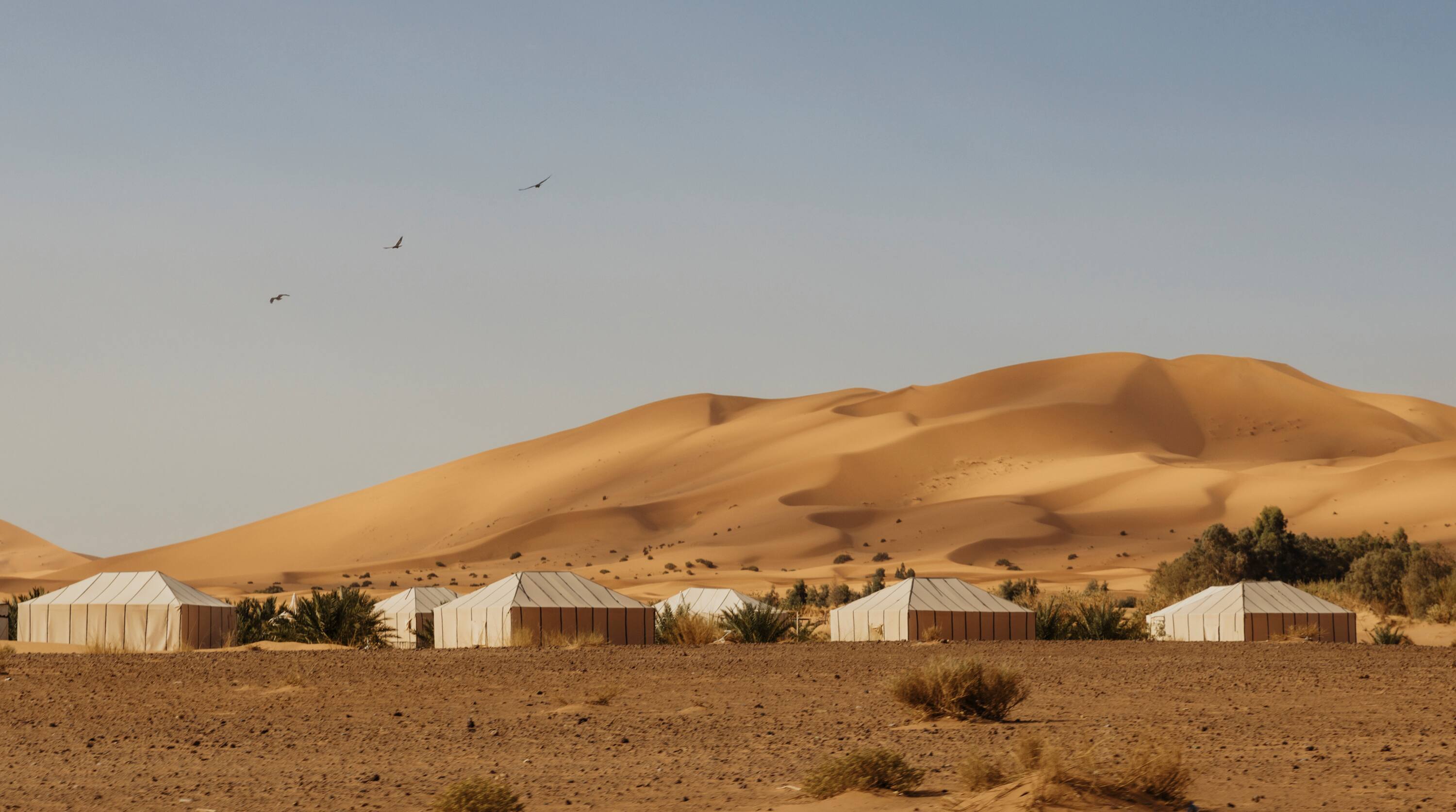 Voyager le Maroc: 16 incontournables, au-delà du Sahara | Silo 57