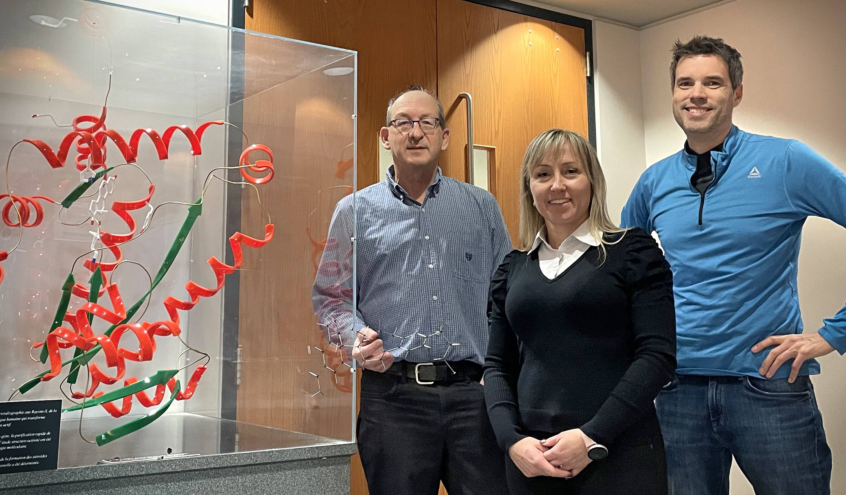 Développement d'un traitement prometteur pour l'endométriose : les ...