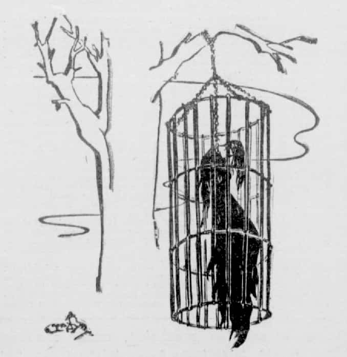 [EN IMAGES] Au-delà de la légende, voici 7 faits historiques sur La ...