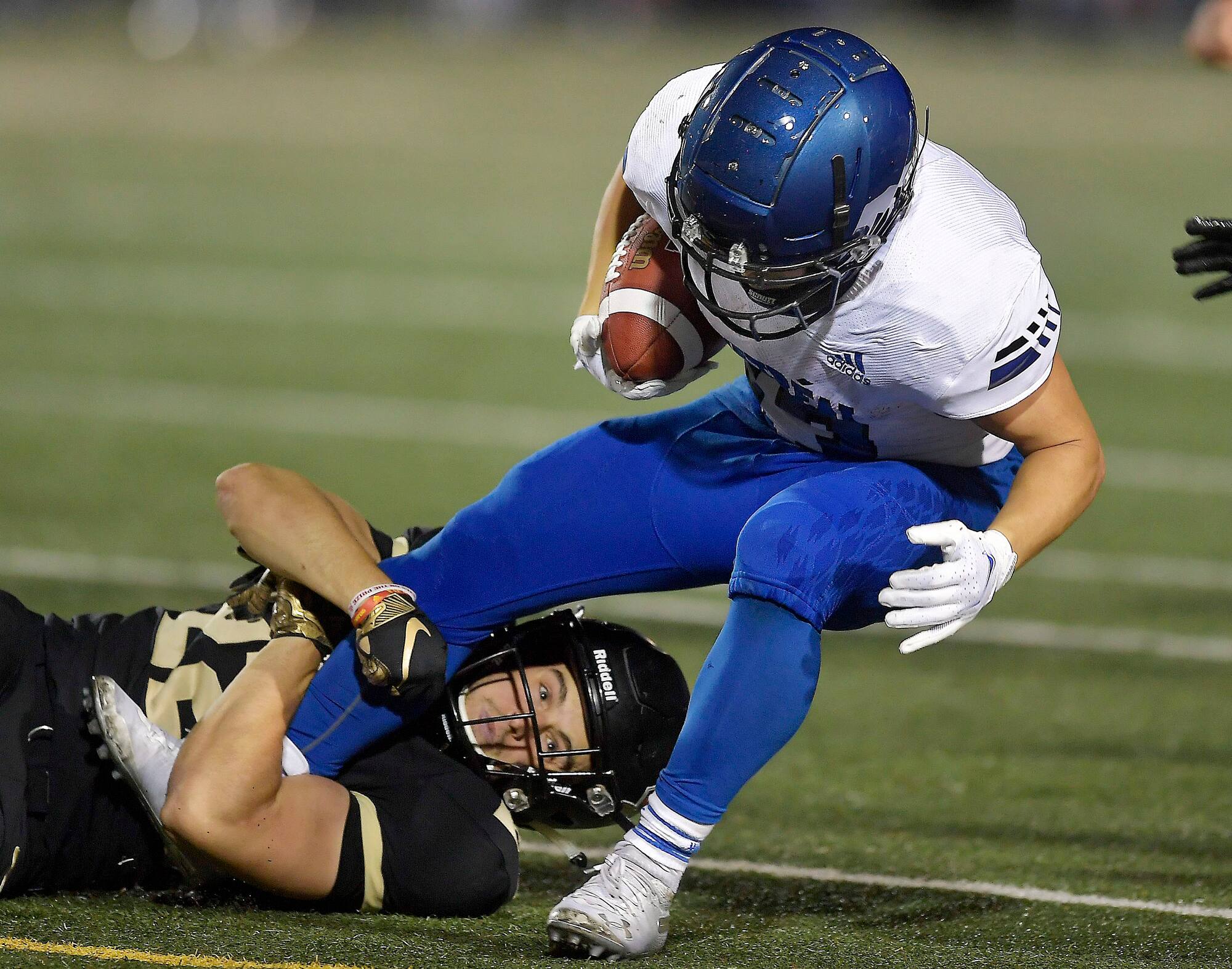 Rouge et Or: la rivalité reprend du service | JDQ