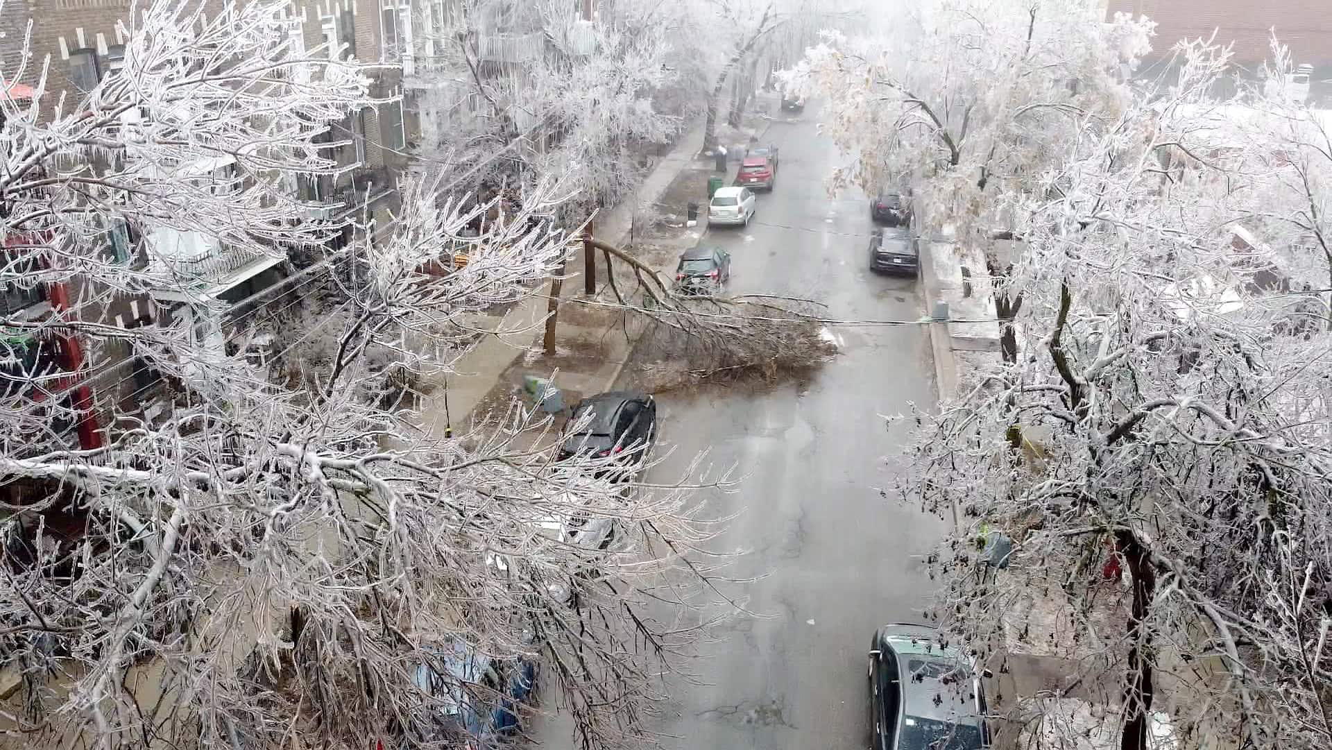 Noirceur et bordel à Montréal: une tempête de verglas qu'on se ...