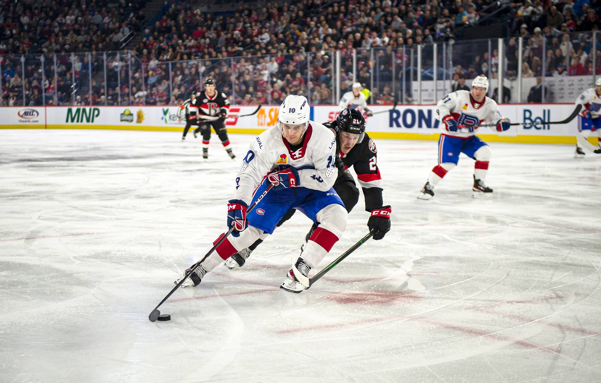 Filip Mesar va devoir patienter | Le Journal de Montréal