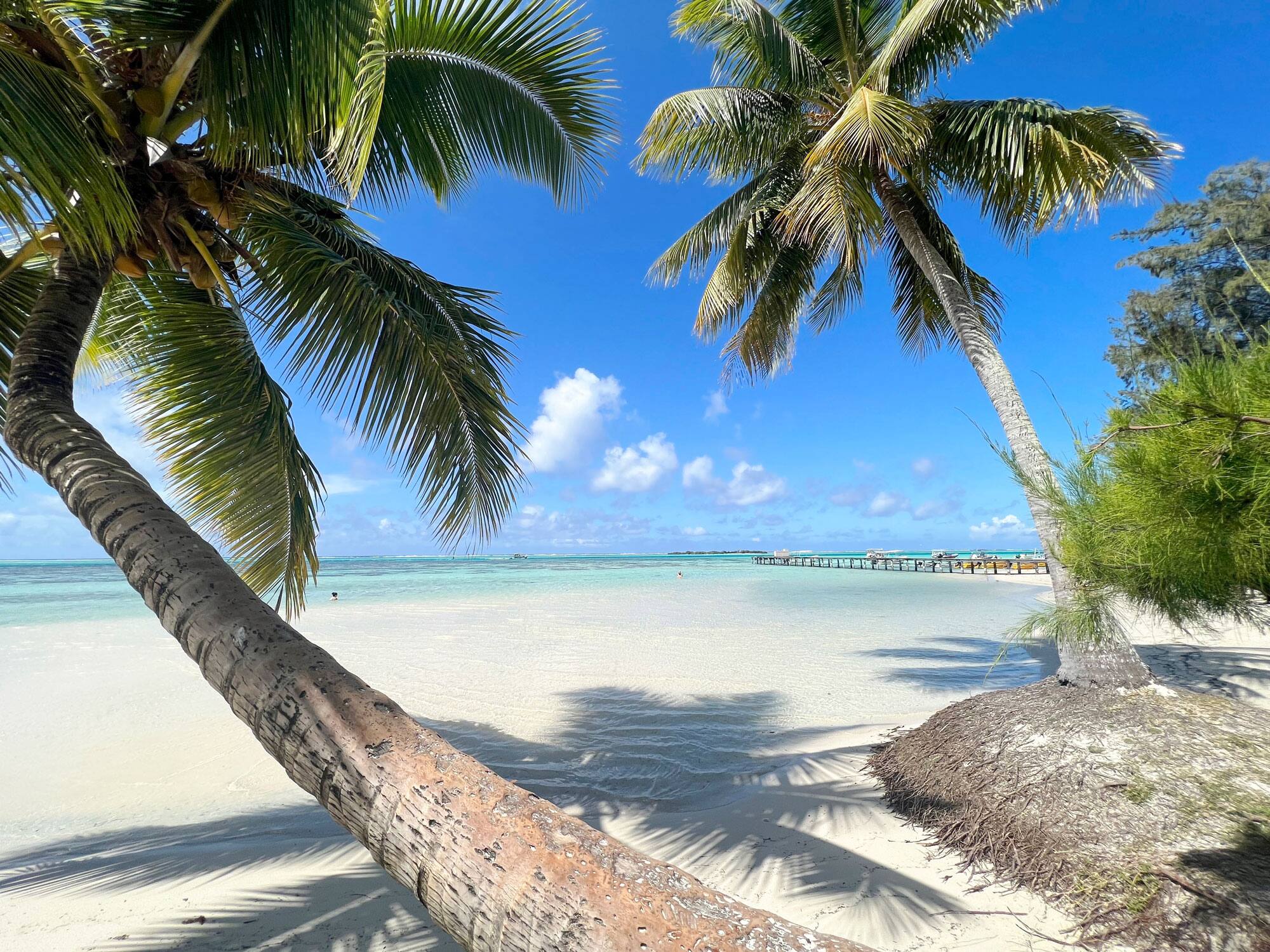 Polynésie française: l’île de Moorea, une perle méconnue | JDM