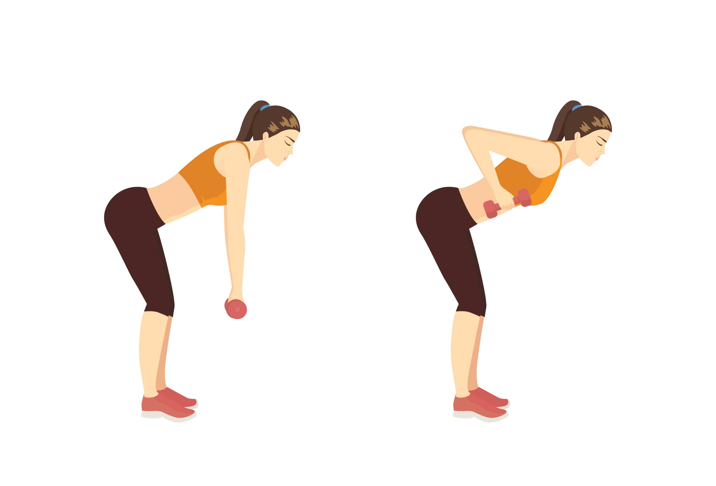 Les 7 meilleurs exercices pour muscler le dos | Salut Bonjour