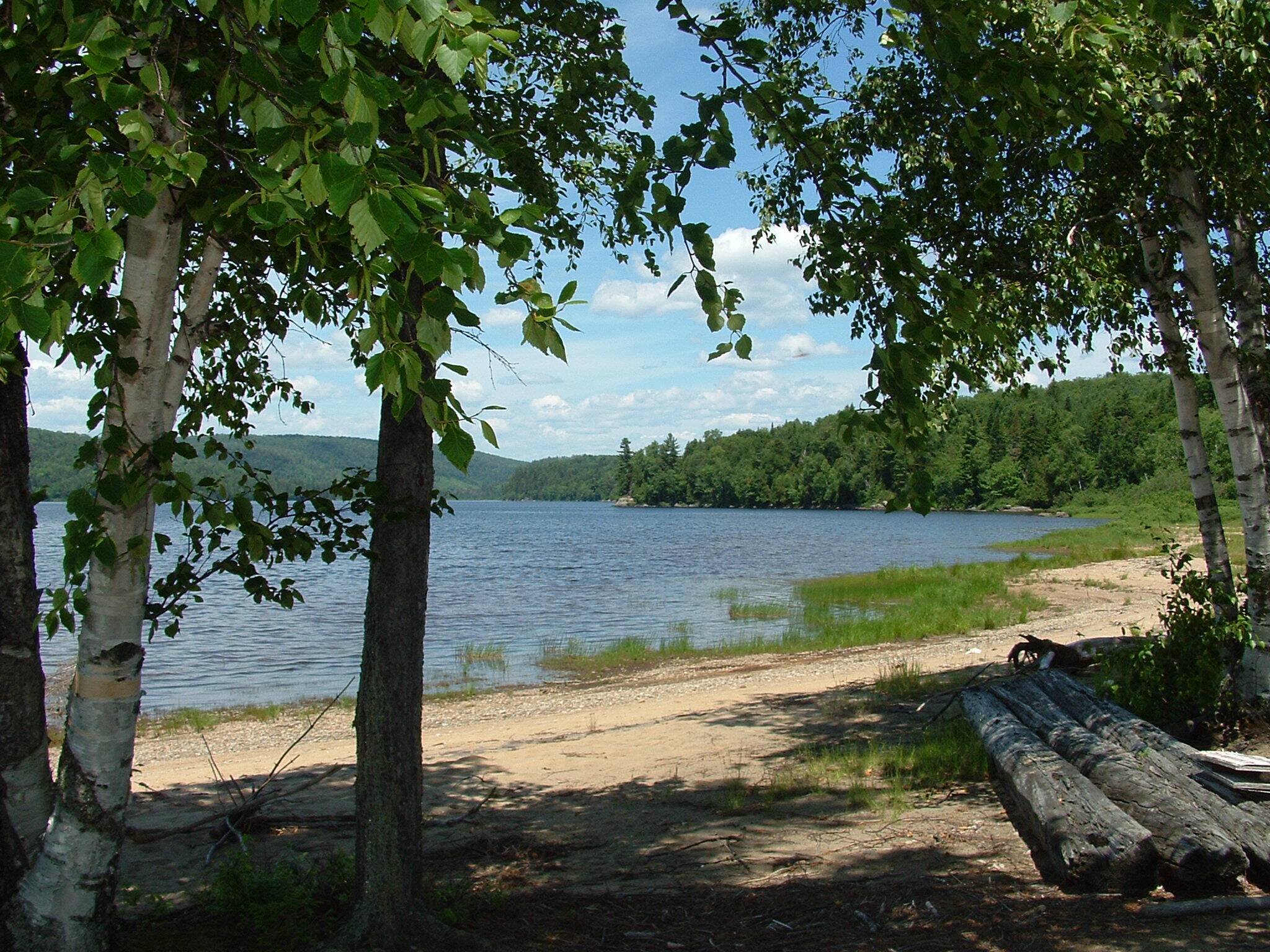 Les touladis lourdement contaminés au mercure dans un lac de Portneuf | JDM