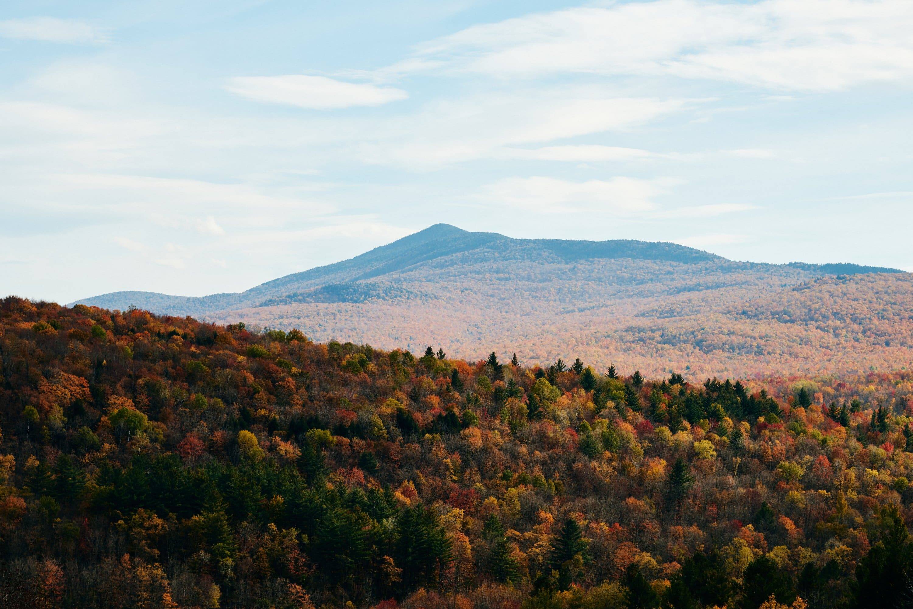 15 choses gratuites ou abordables à faire à Sutton | JDM