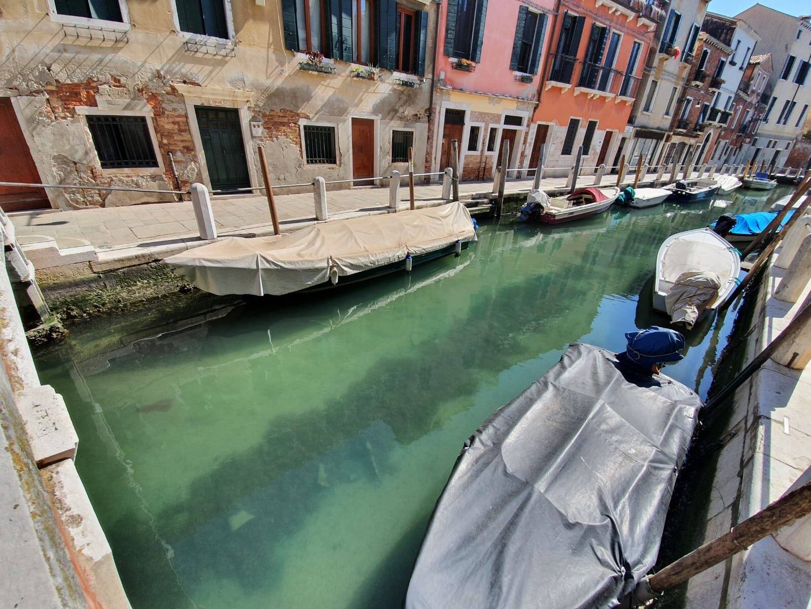 Faute de pollution, les eaux de Venise s’éclaircissent | TVA Nouvelles