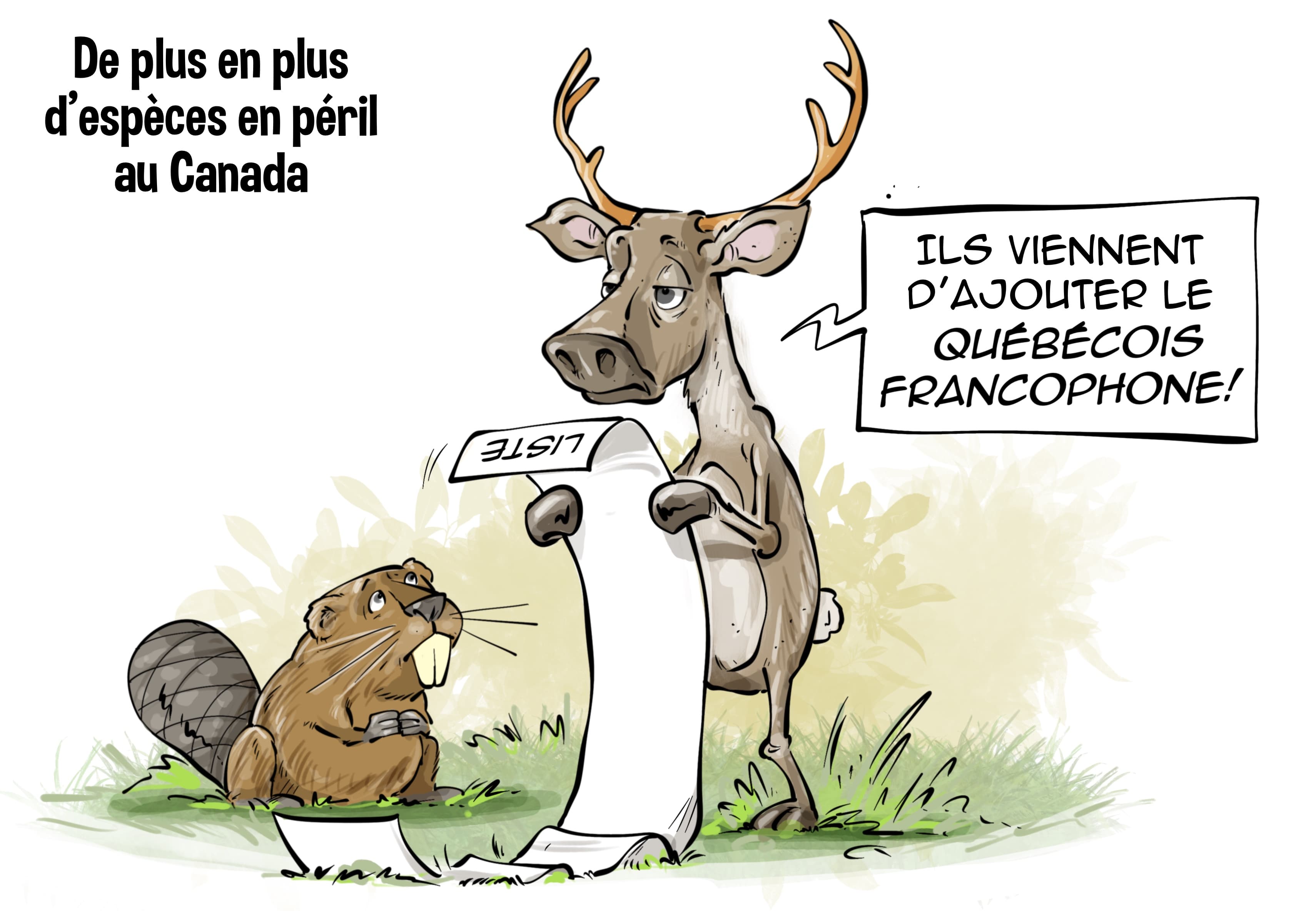 L'extra d'Ygreck | Le Journal de Québec