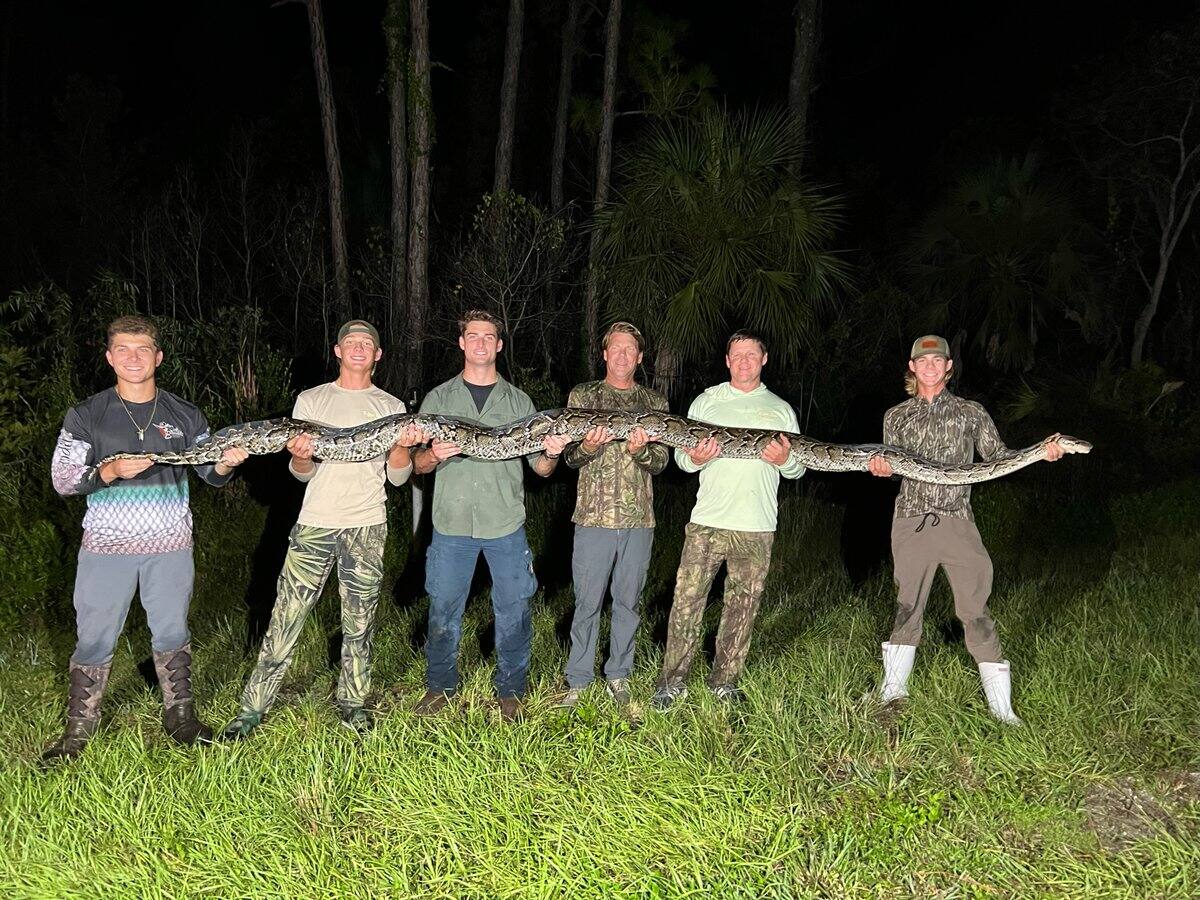 Floride : Un étudiant capture un python de plus de 100 livres | JDM