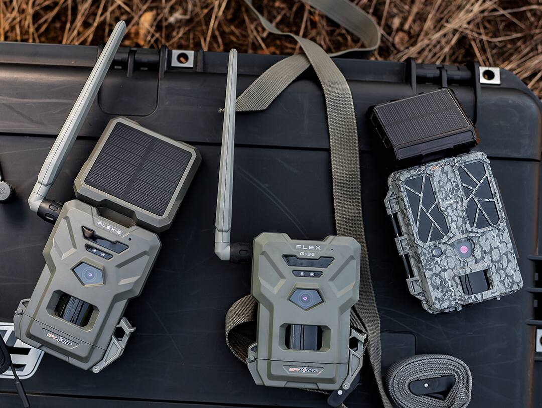 Spypoint : Un excellent partenaire pour la chasse | JDM