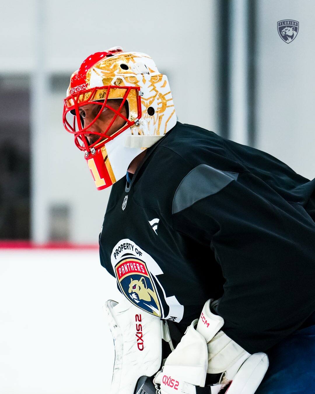 Un visage familier s’entraîne avec les Panthers | JDQ