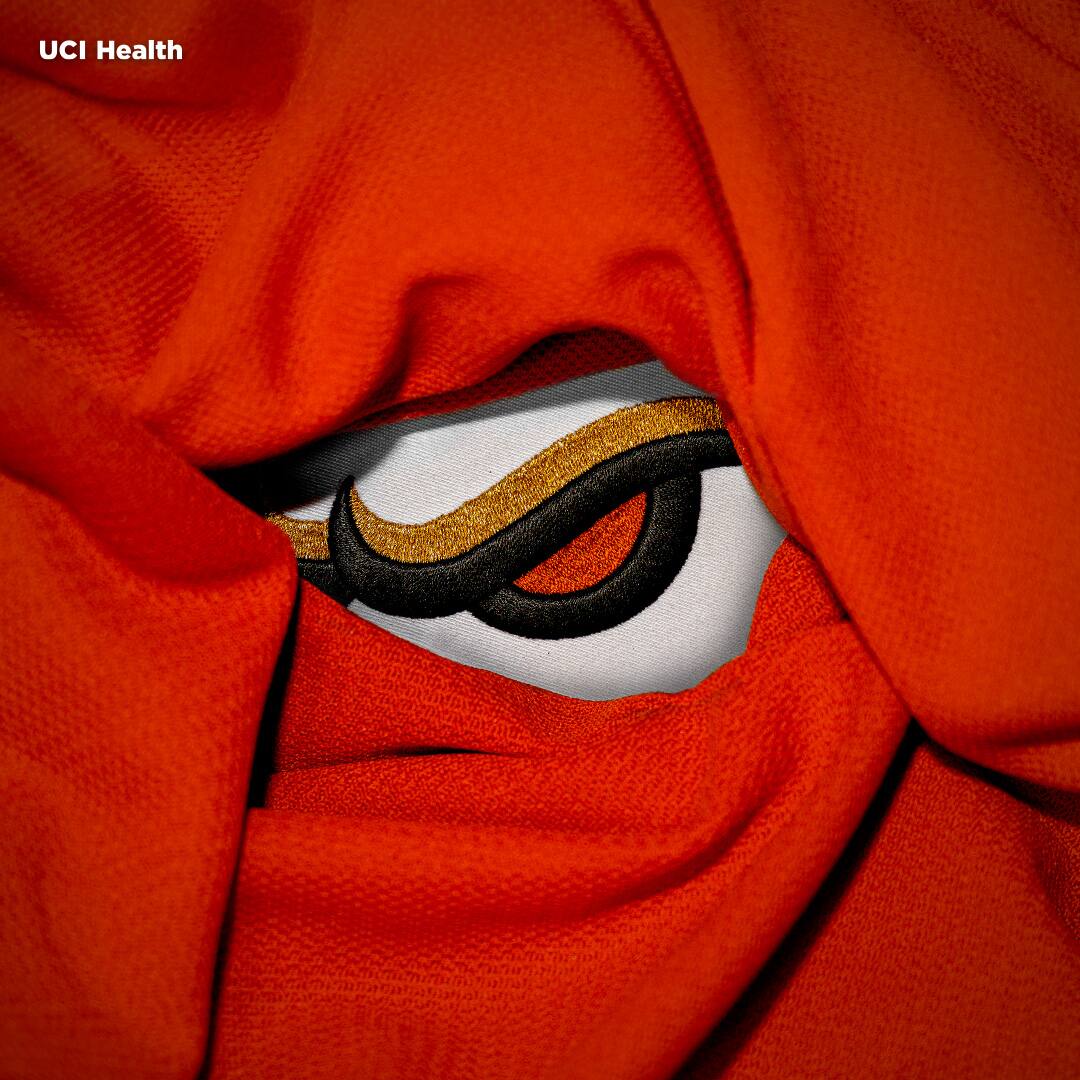 À VOIR: les Ducks vont (enfin) changer leur logo et voici un aperçu | JDQ