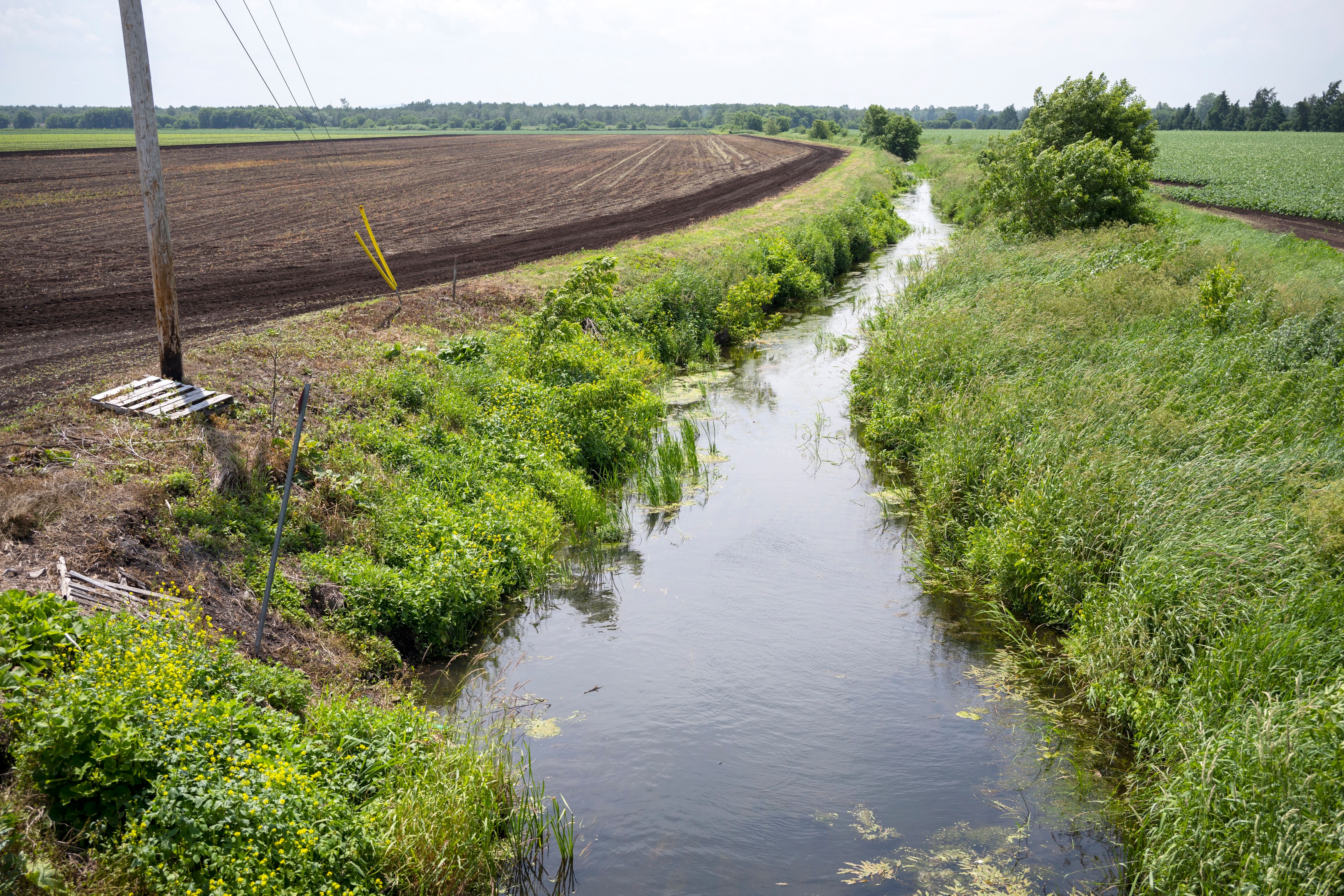 Ce ruisseau en Montérégie détient le record du nombre de pesticides ...