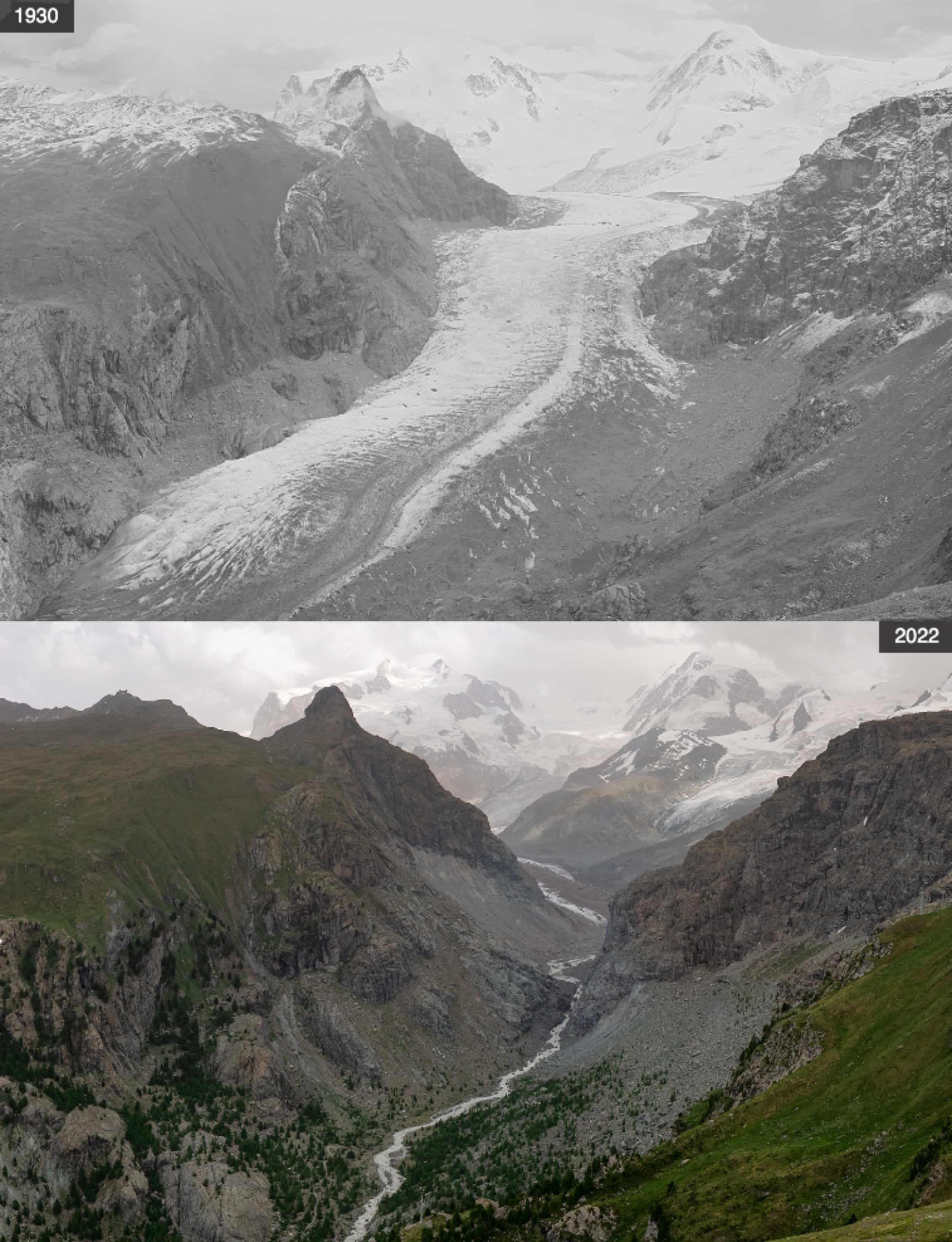 Avant et après: les glaciers des Alpes suisses ont fondu de moitié en ...