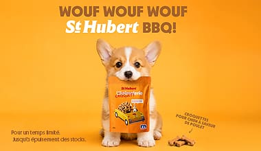 St-Hubert: des croquettes dans vos assiettes aux croquettes pour les ...