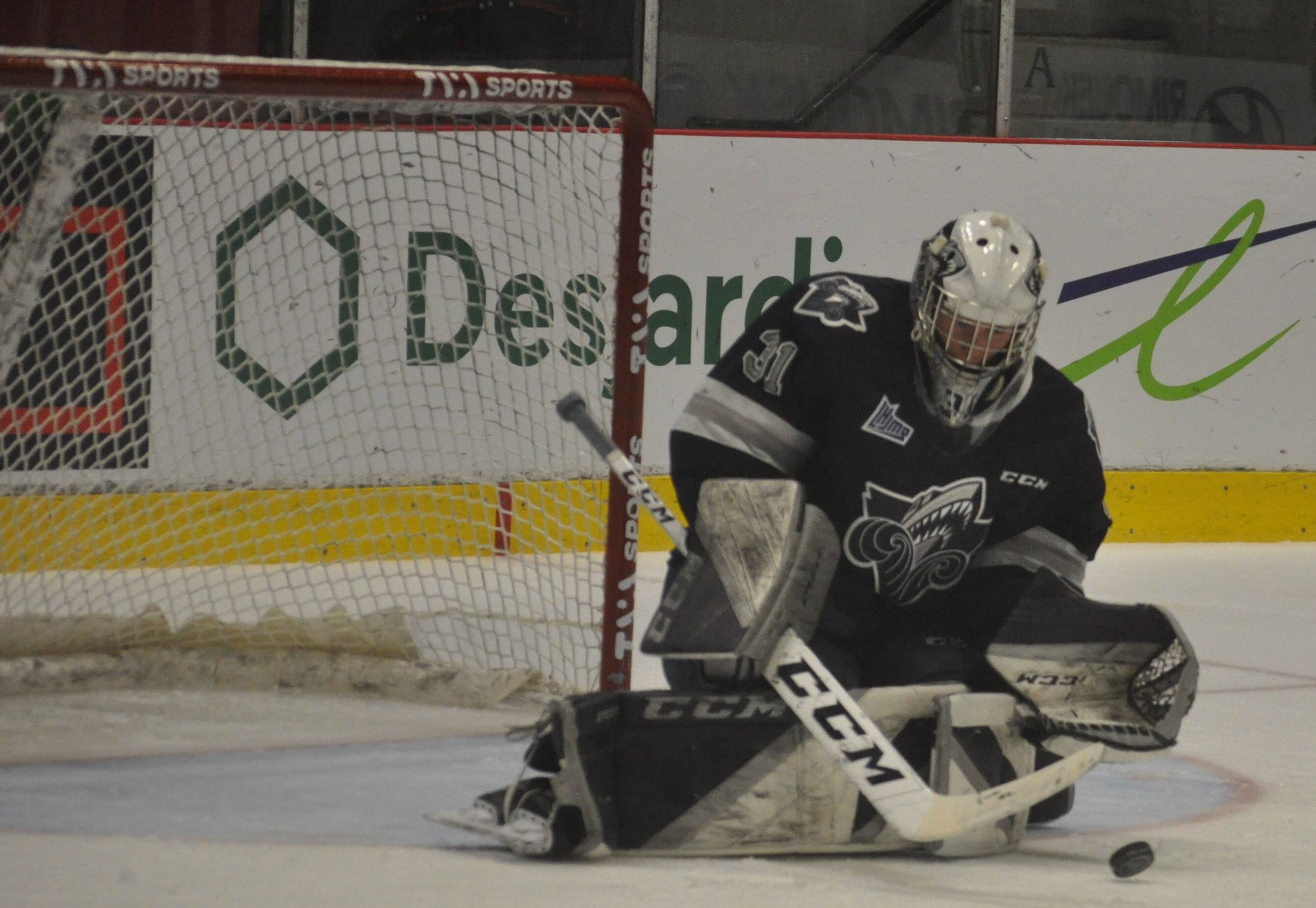 LHJMQ: l’Océanic prévoit une solide opposition du Phœnix | JDM