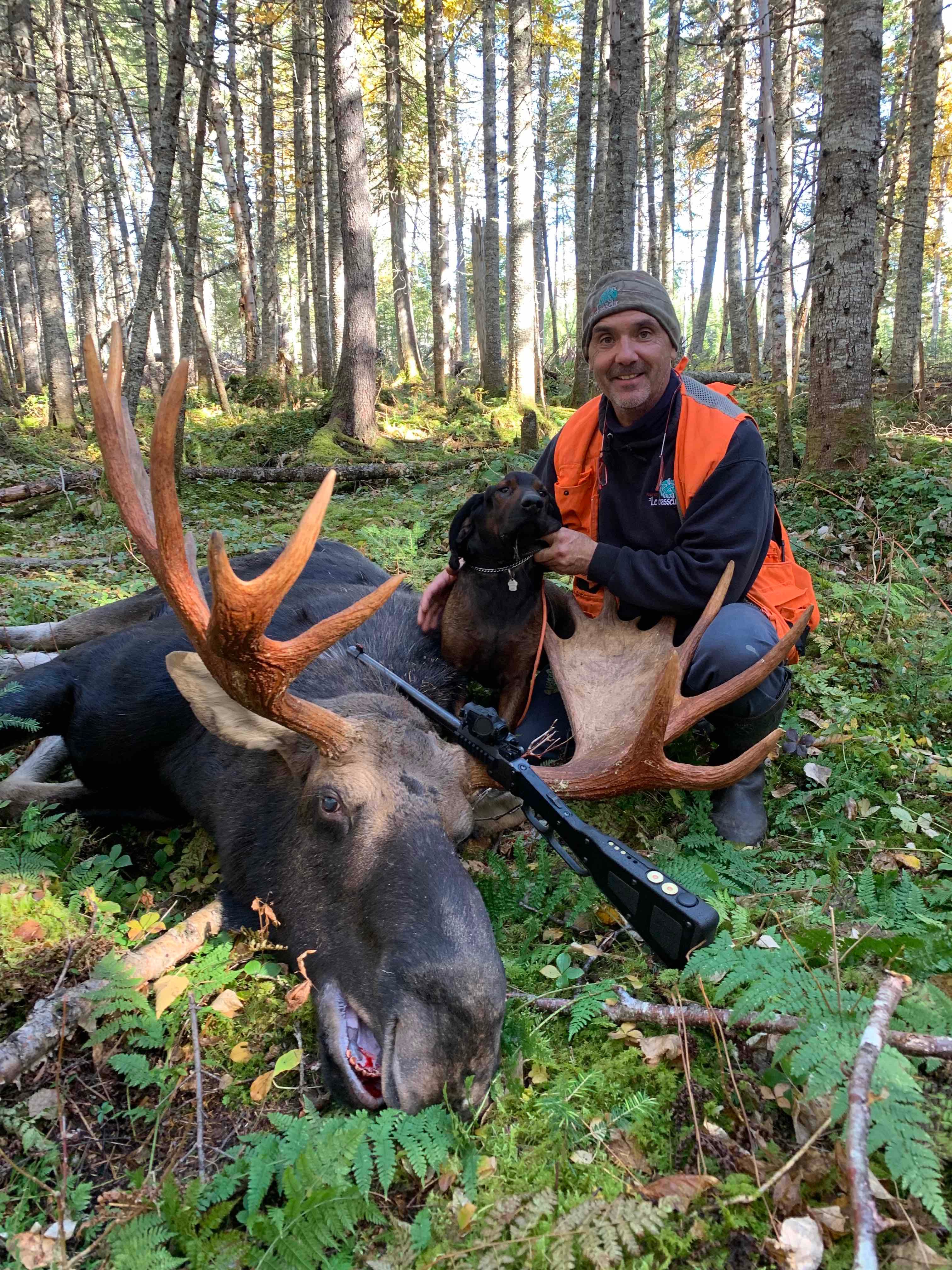Les conducteurs de chiens de sang certifiés pourront être armés ...
