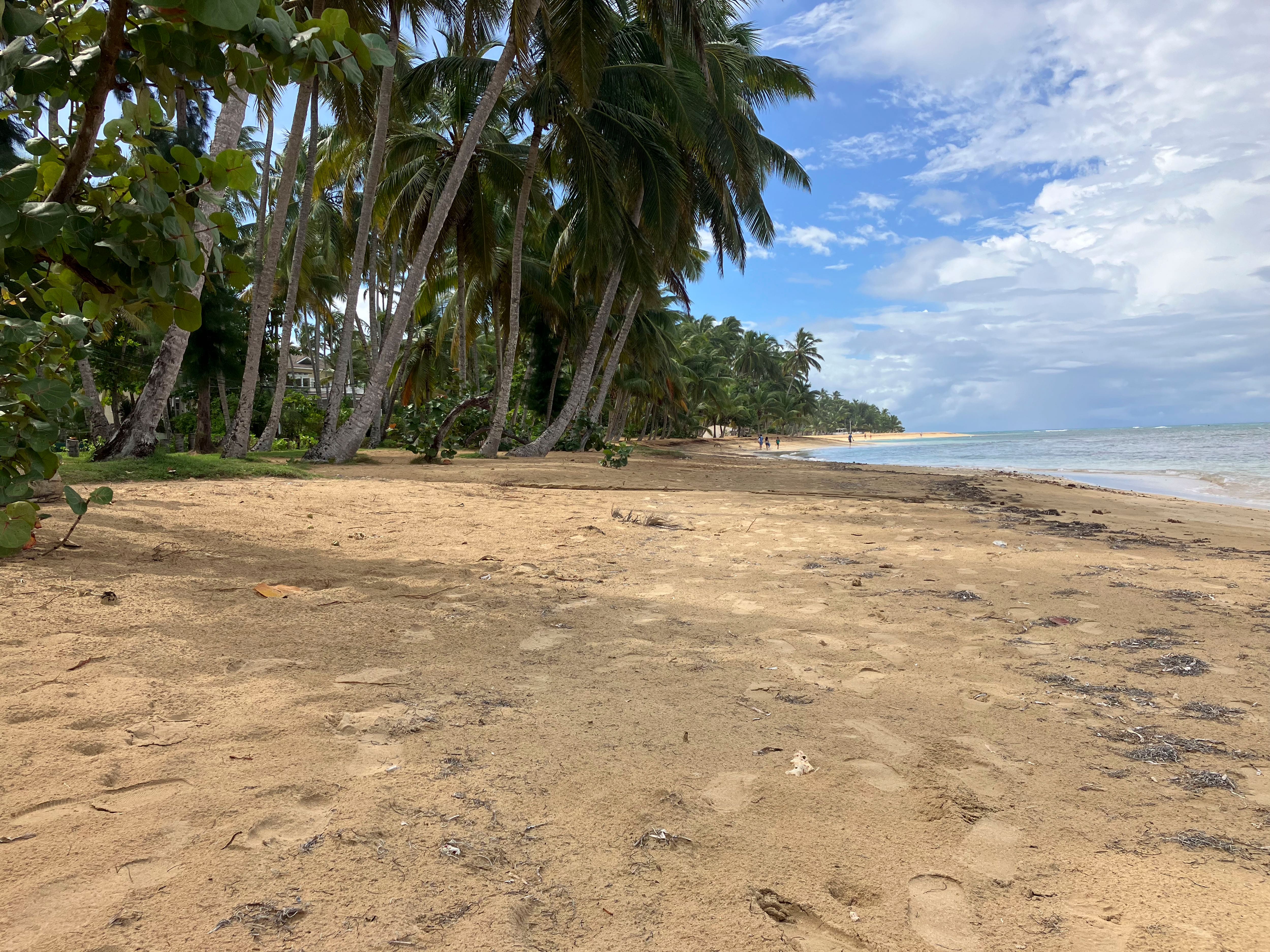Las Terrenas: le village francophone de la République dominicaine | JDM