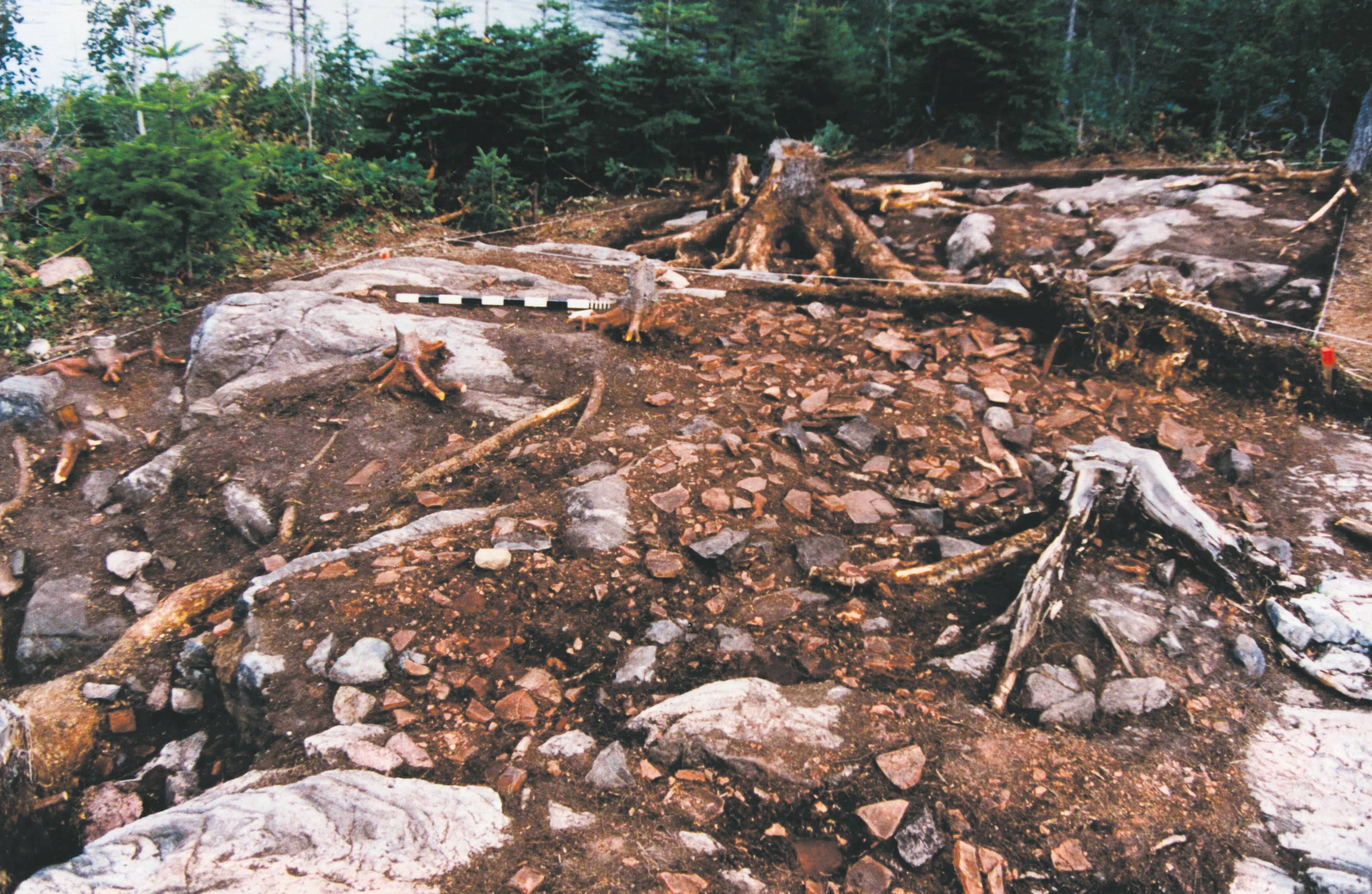 Des chasseurs basques se sont déjà aventurés sur la Côte-Nord | JDM