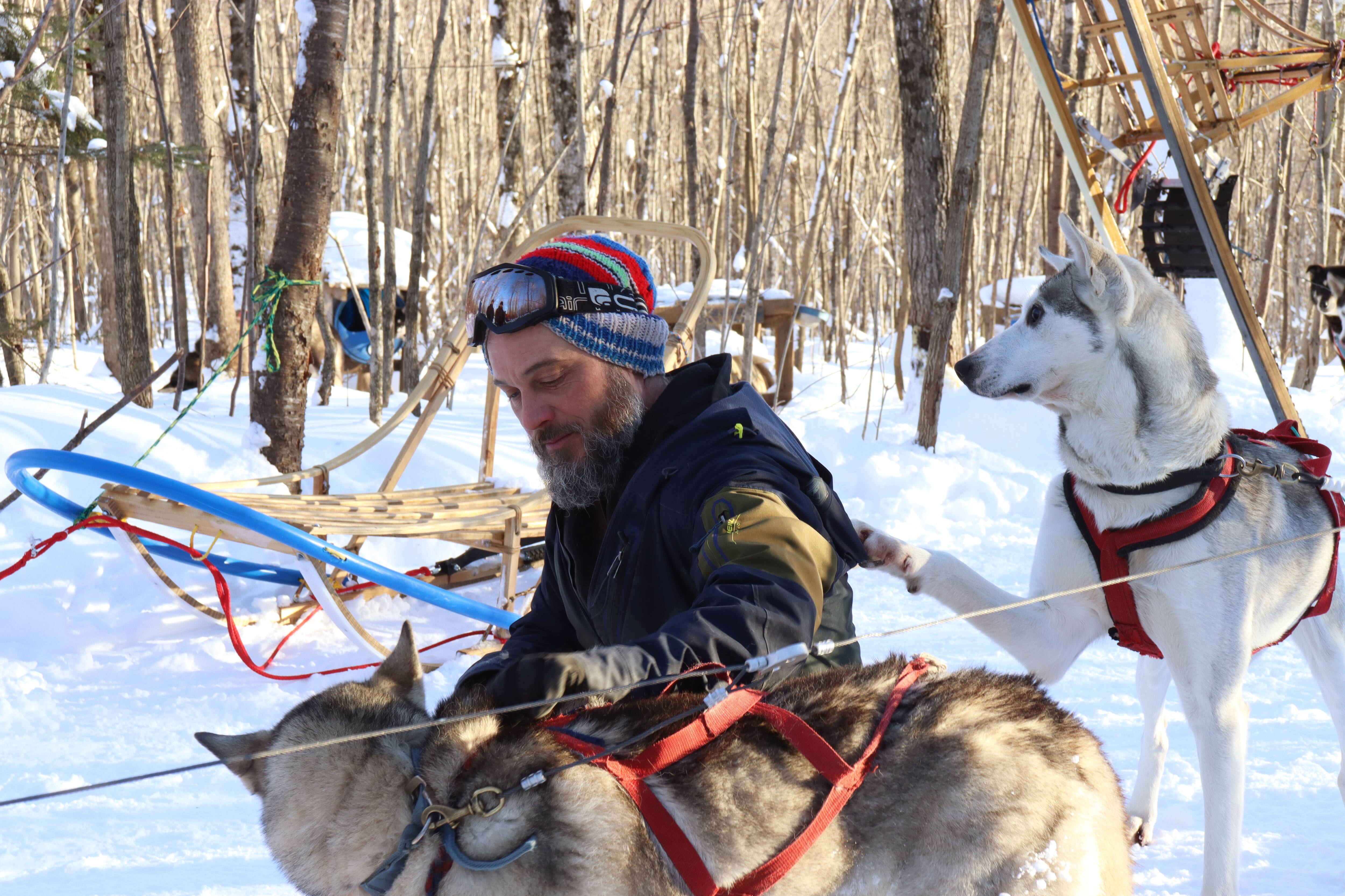 Du jamais-vu en 19 ans: un hiver «désastreux» pour le traîneau à chiens ...