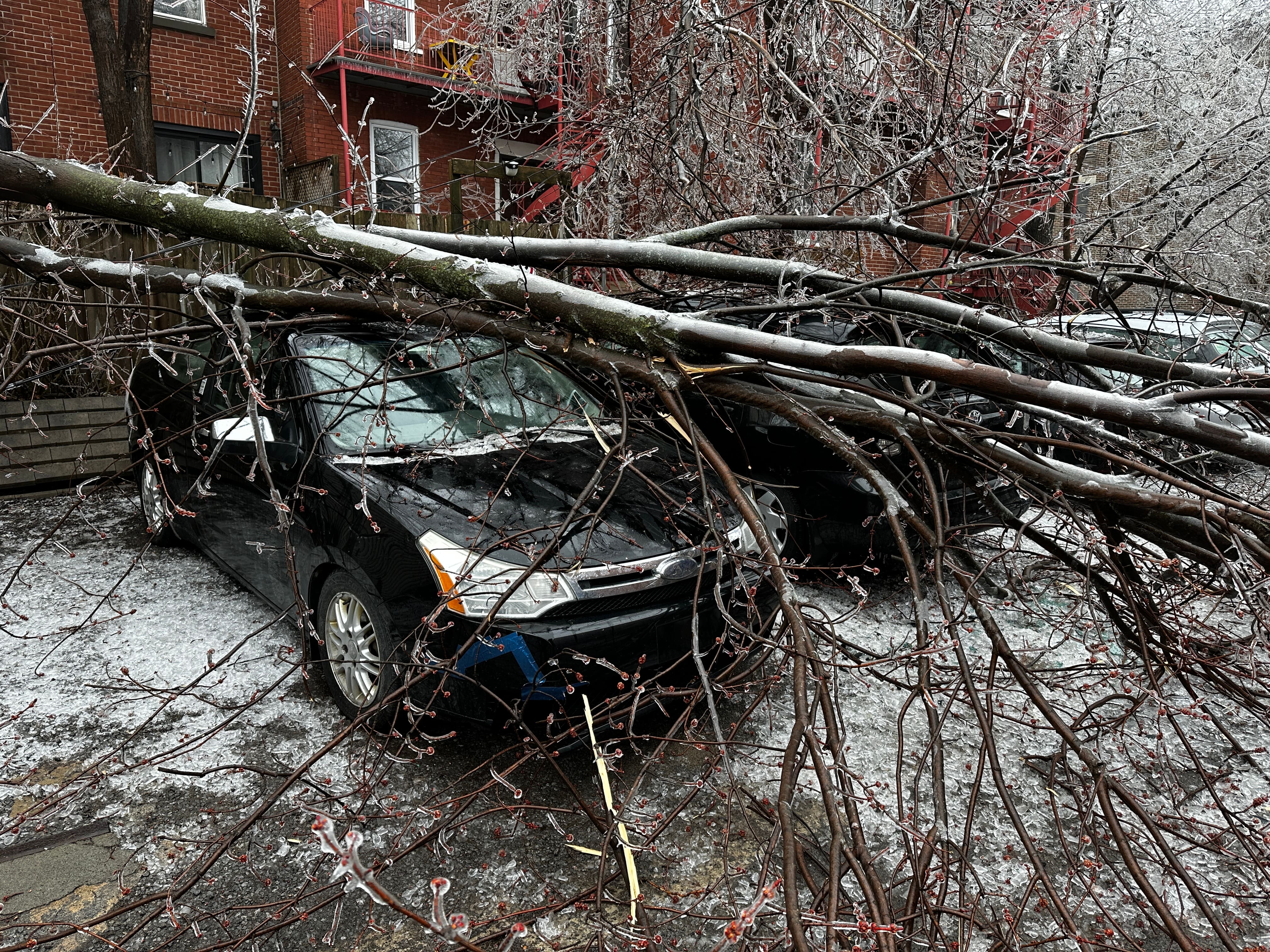 [À VOIR] Voyez les dommages impressionnants laissés par le verglas | 24 ...