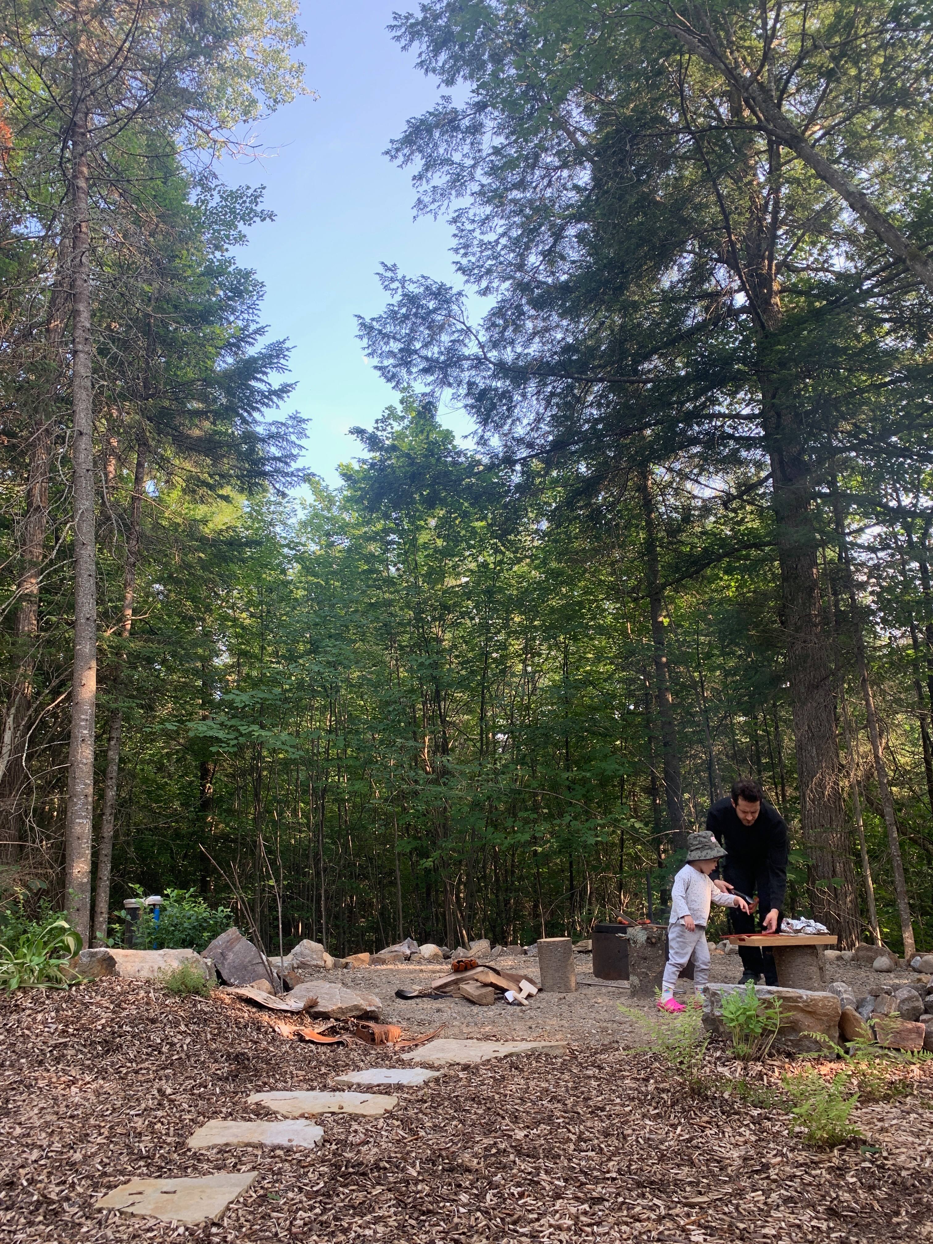 10 choses à savoir sur le nouveau lecteur de nouvelles de Salut Bonjour | Salut Bonjour