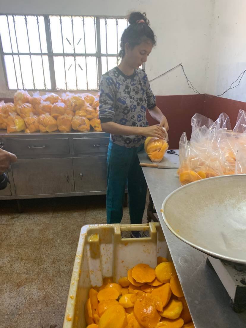 La mangue dans tous ses états | Le Journal de Québec