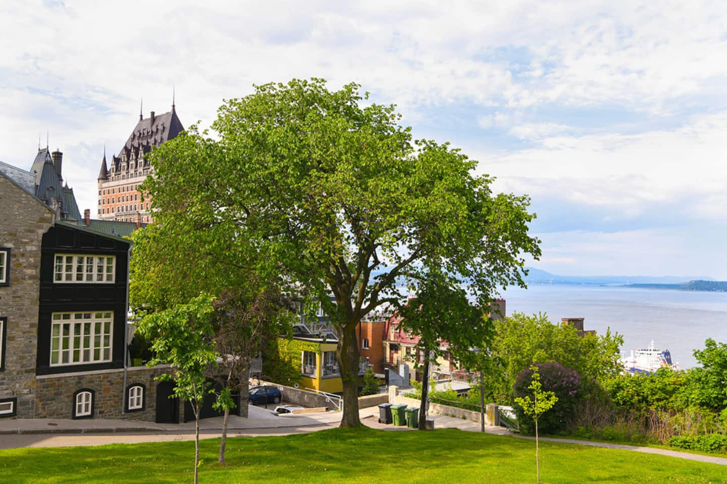 [EN IMAGES] Voici 9 choses à savoir sur le patrimoine arboricole de ...