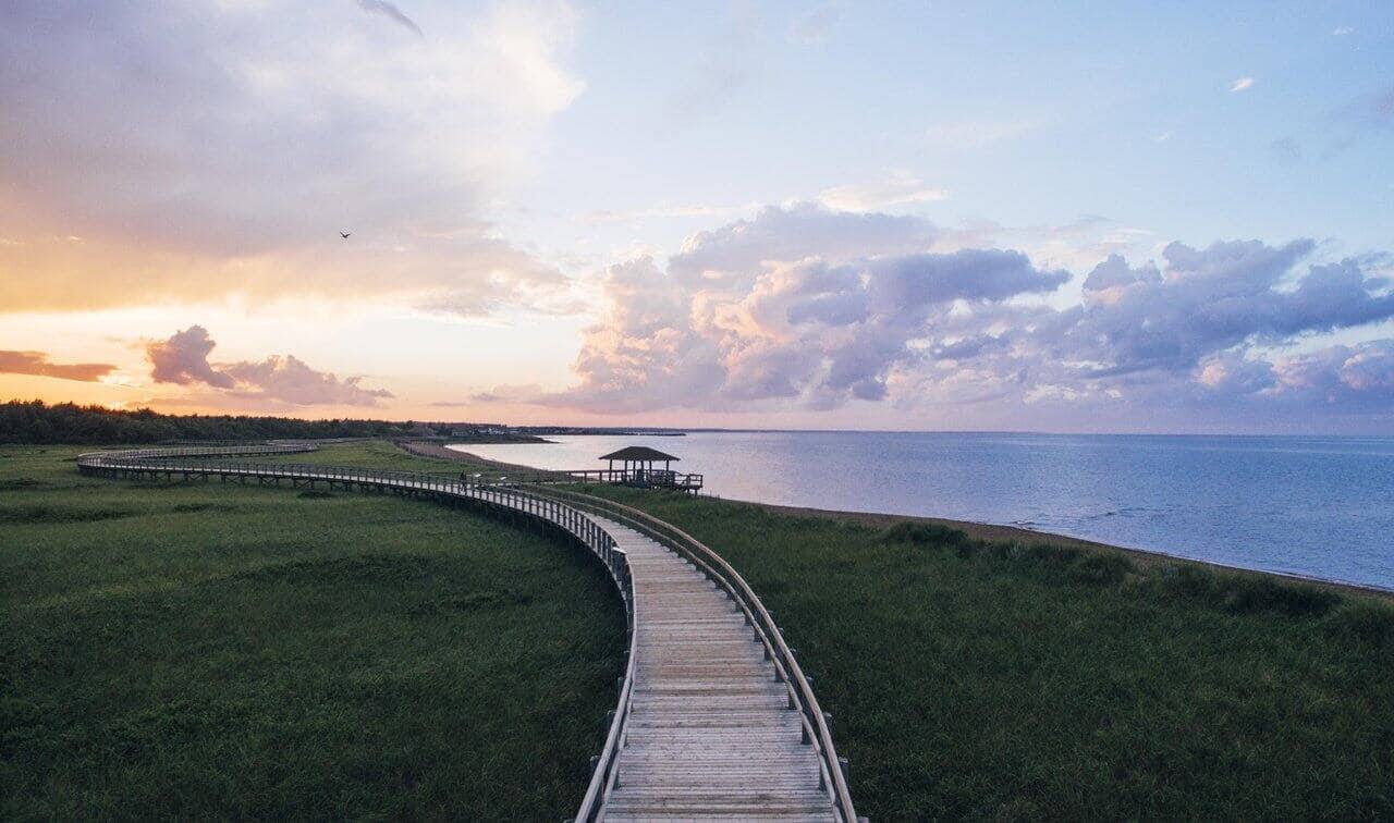 Nouveau-Brunswick: 10 activités gratuites à faire à Saint-Jean | JDQ