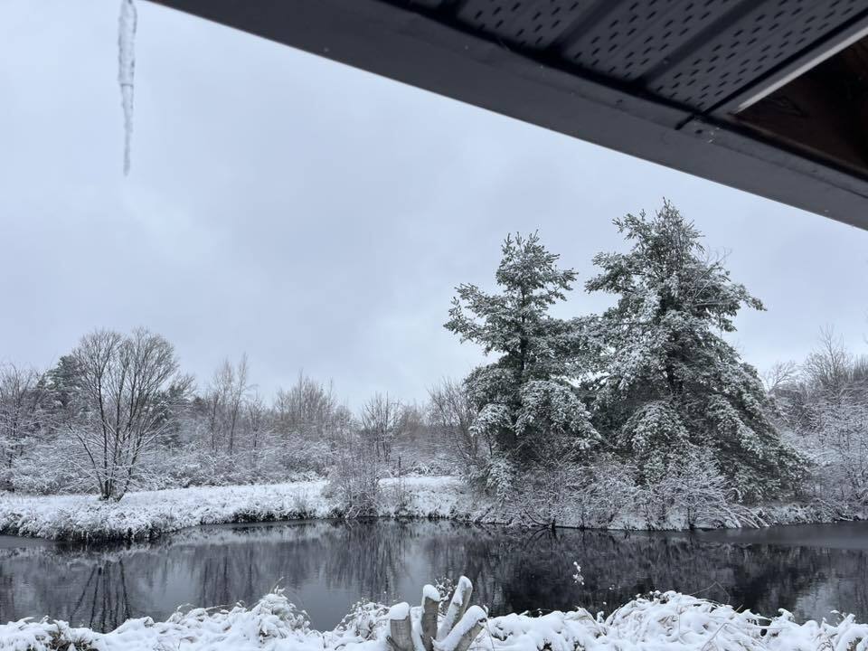Première neige : découvrez vos magnifiques photos remplies de flocons ...