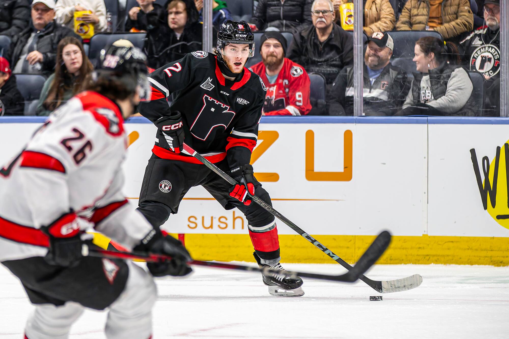 Les Remparts de Québec nomment leur capitaine | JDQ