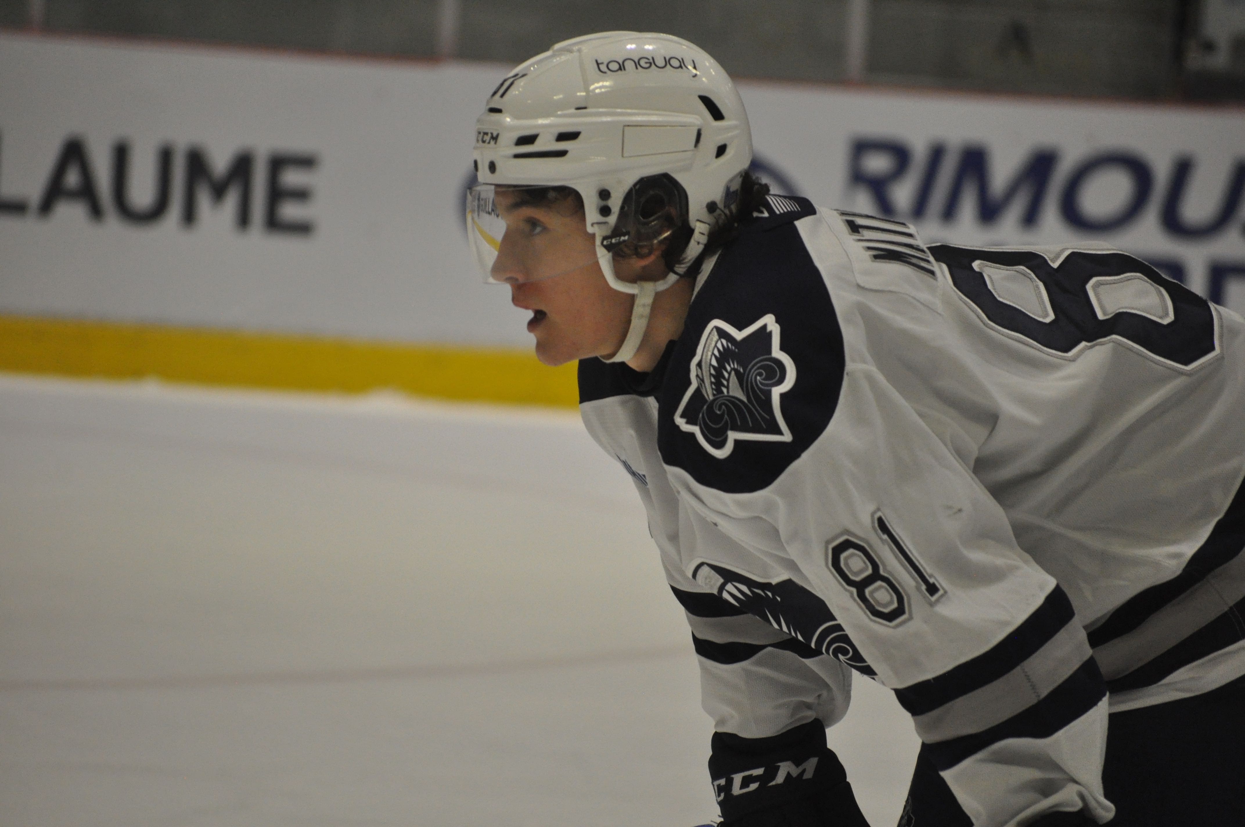 LHJMQ: les Wildcats griffent l’Océanic | JDQ