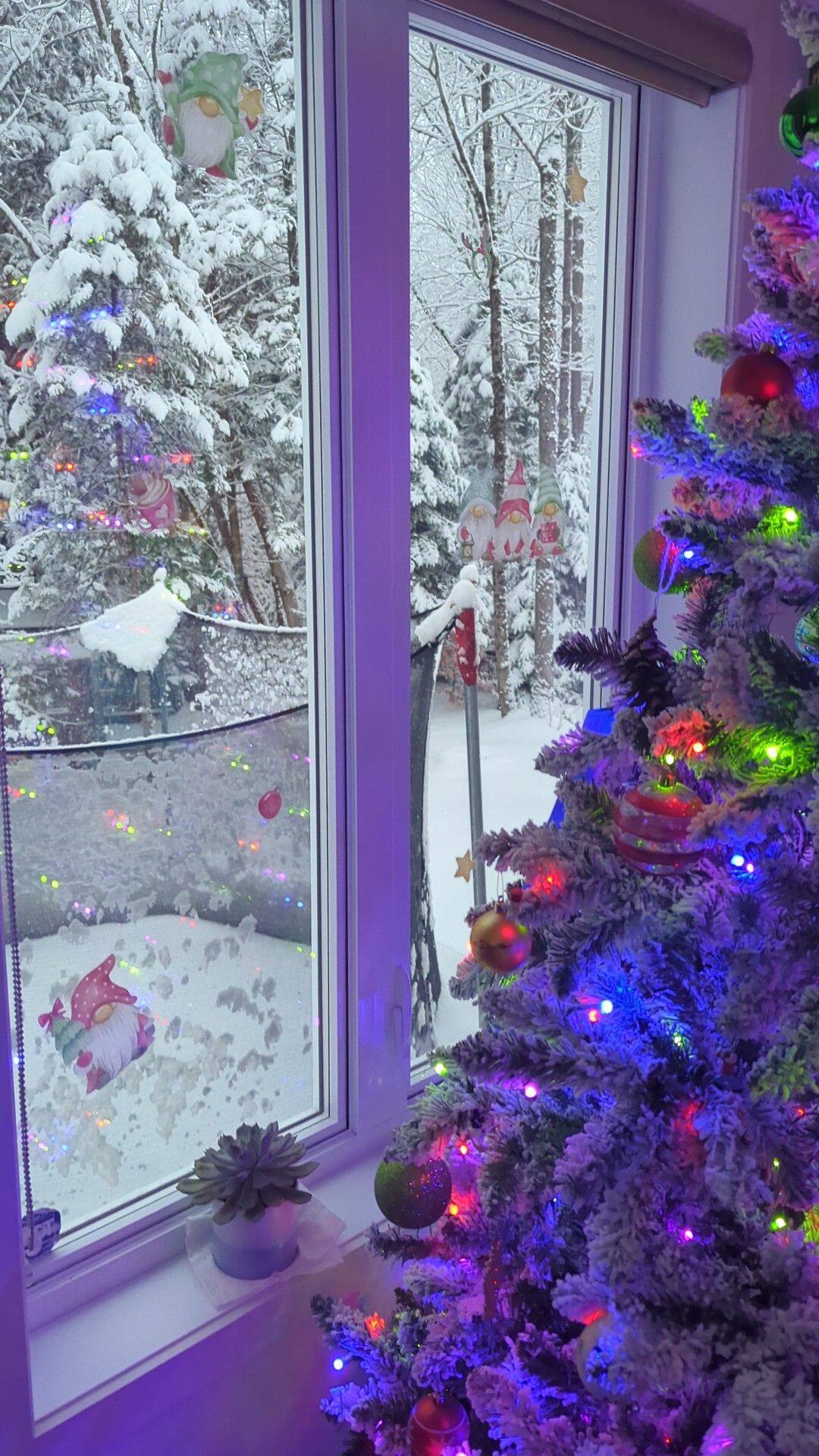 Première neige : découvrez vos magnifiques photos remplies de flocons ...
