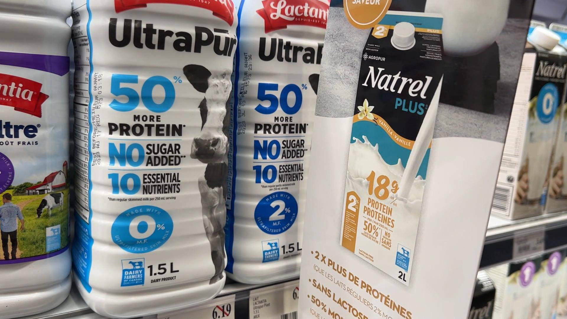 Le lait protéiné gagne en popularité au Québec | TVA Nouvelles