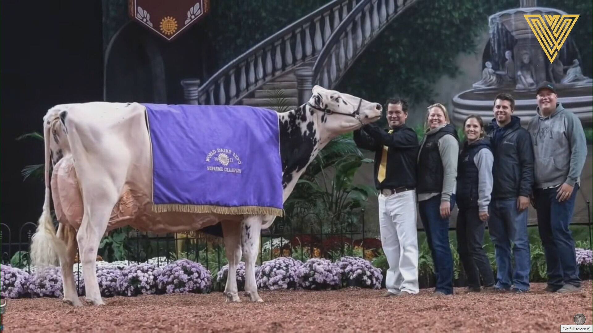 Consécration pour Shakira, nommée meilleure vache laitière de l ...