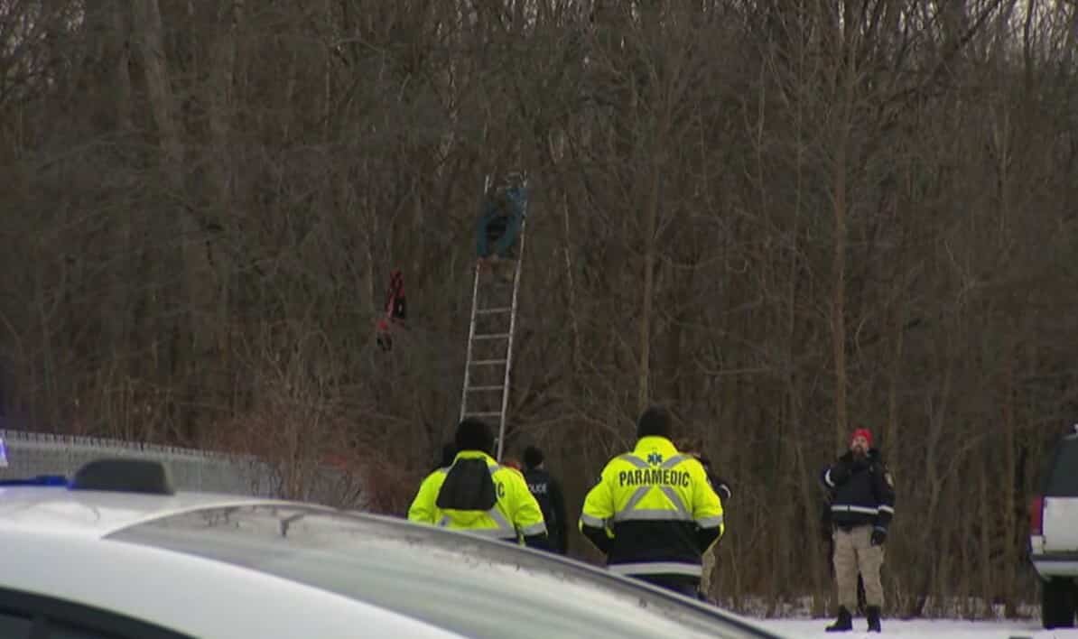Une importante poursuite policière se termine dans un arbre à Laval | JDM