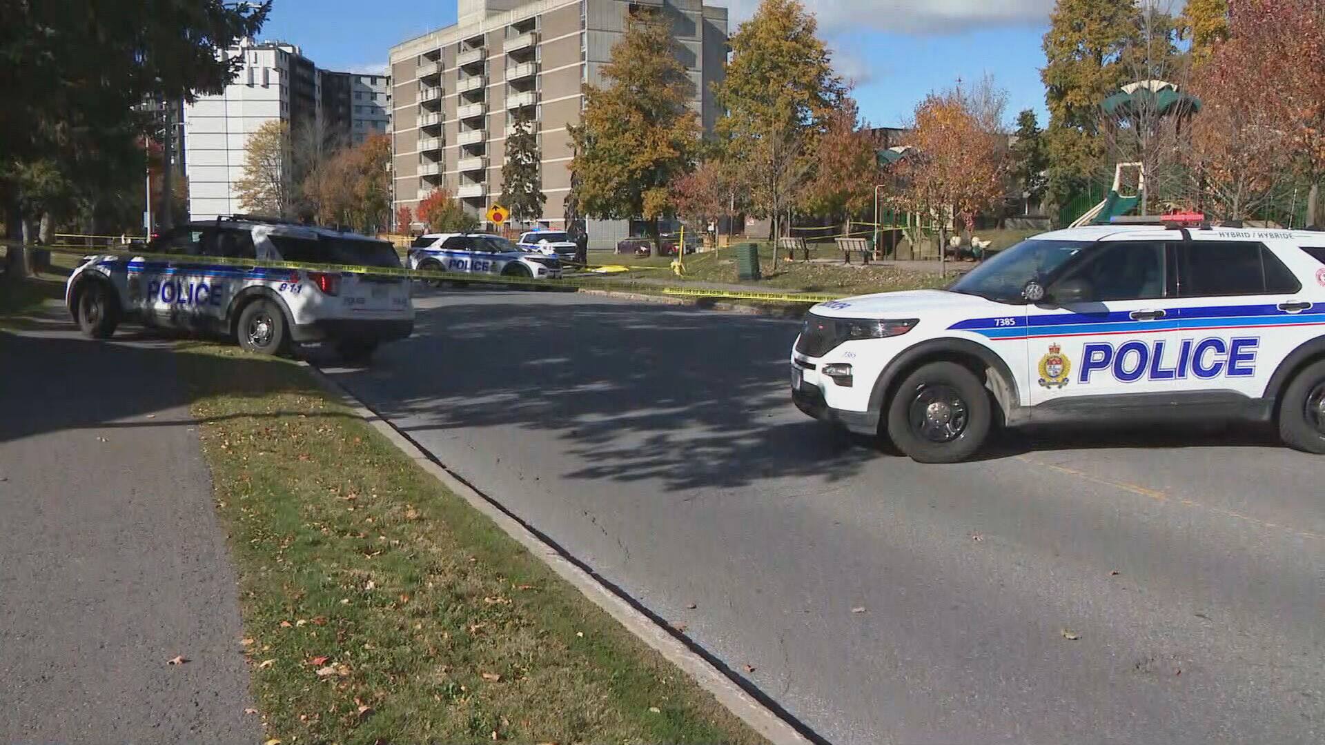 Une femme tuée par arme blanche dans un parc à Ottawa | TVA Nouvelles