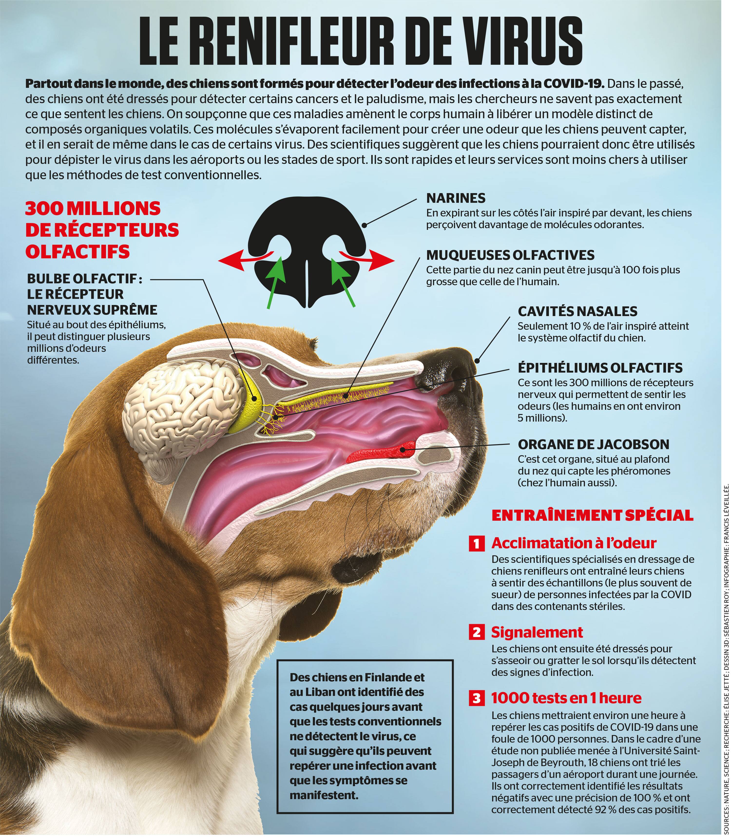 Le renifleur de virus | Le Journal de Montréal