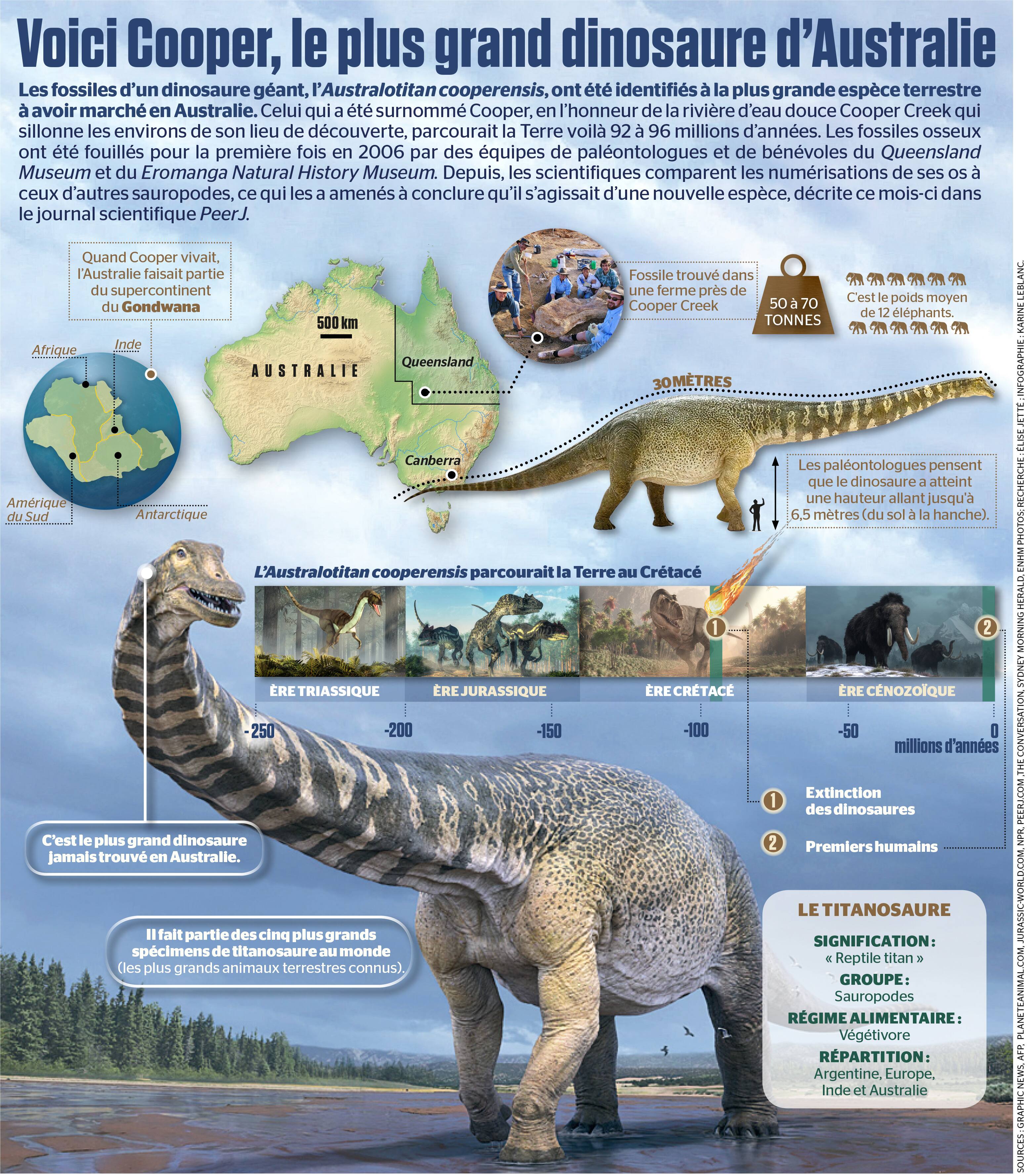 Voici Cooper, le plus grand dinosaure d'Australie | JDM