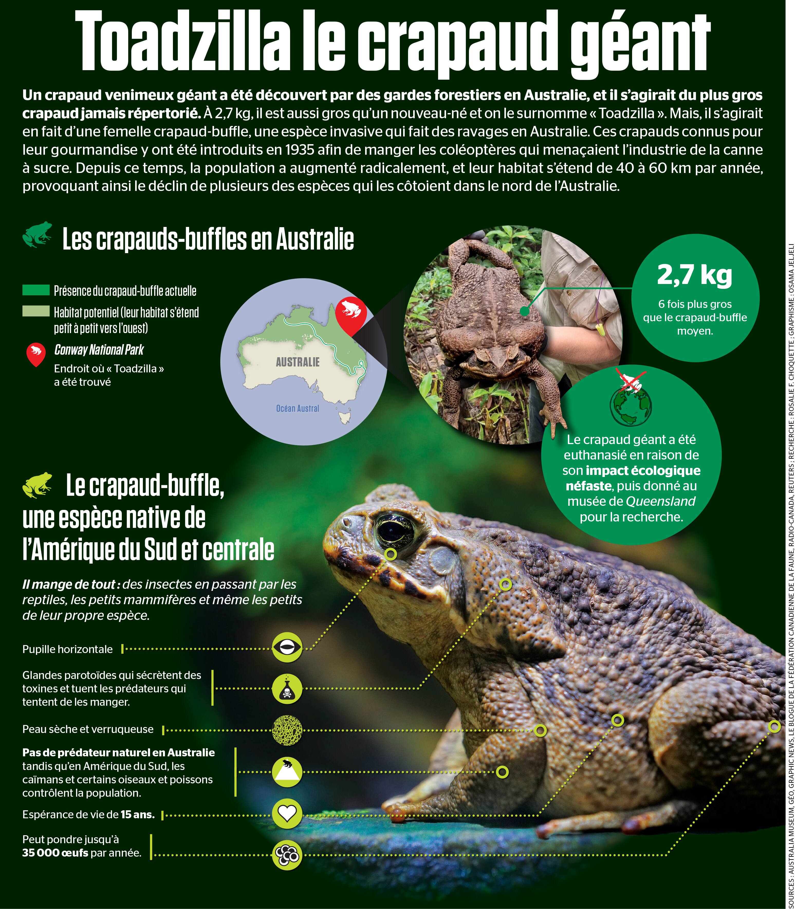 Toadzilla le crapaud géant | Le Journal de Montréal