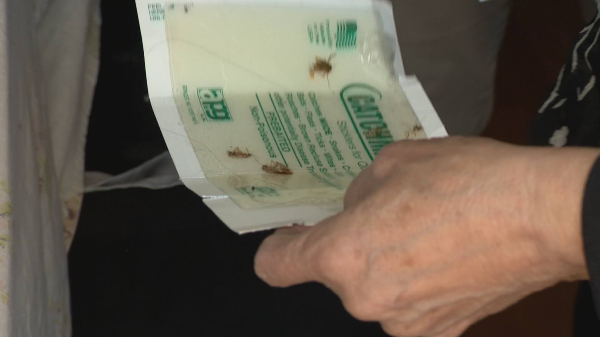 Une septuagénaire forcée de vivre dans un taudis infesté de vermine ...