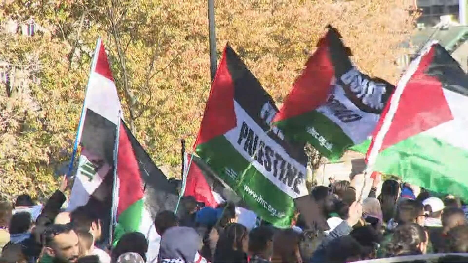 EN IMAGES | Manifestation en soutien à la Palestine à Montréal | TVA ...