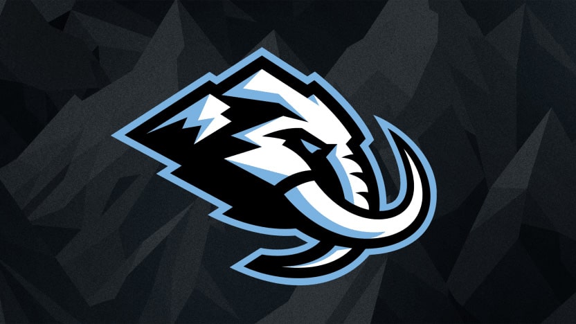 Le Mammoth poursuit une entreprise qui fabrique des sacs de hockey ...