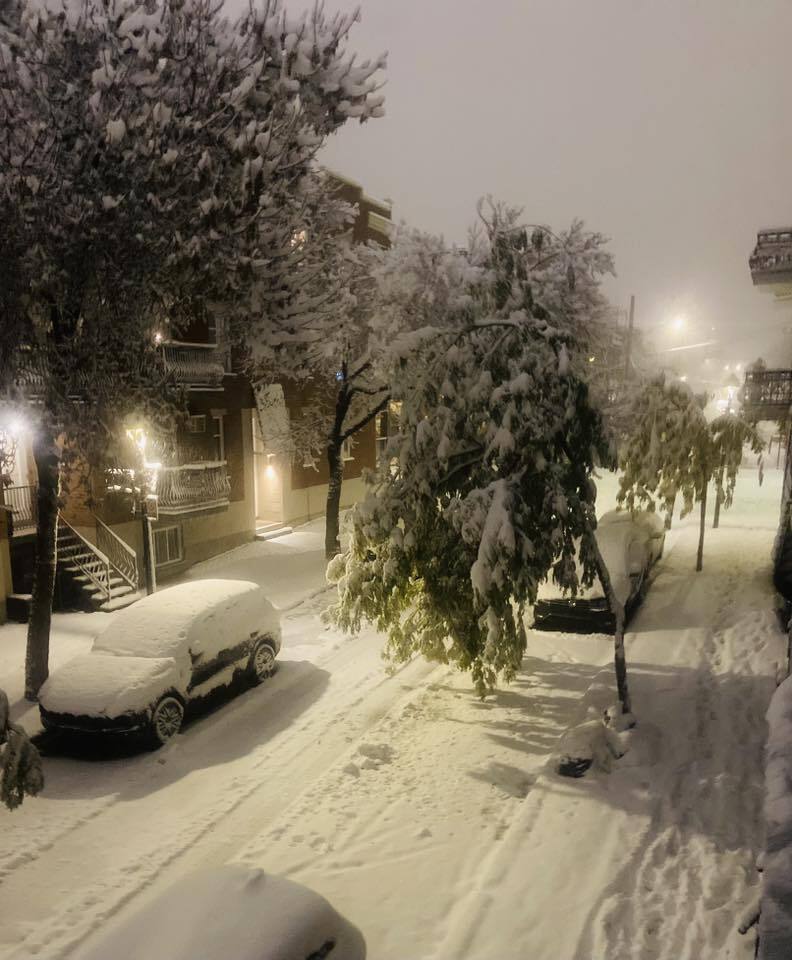 Première neige : découvrez vos magnifiques photos remplies de flocons ...